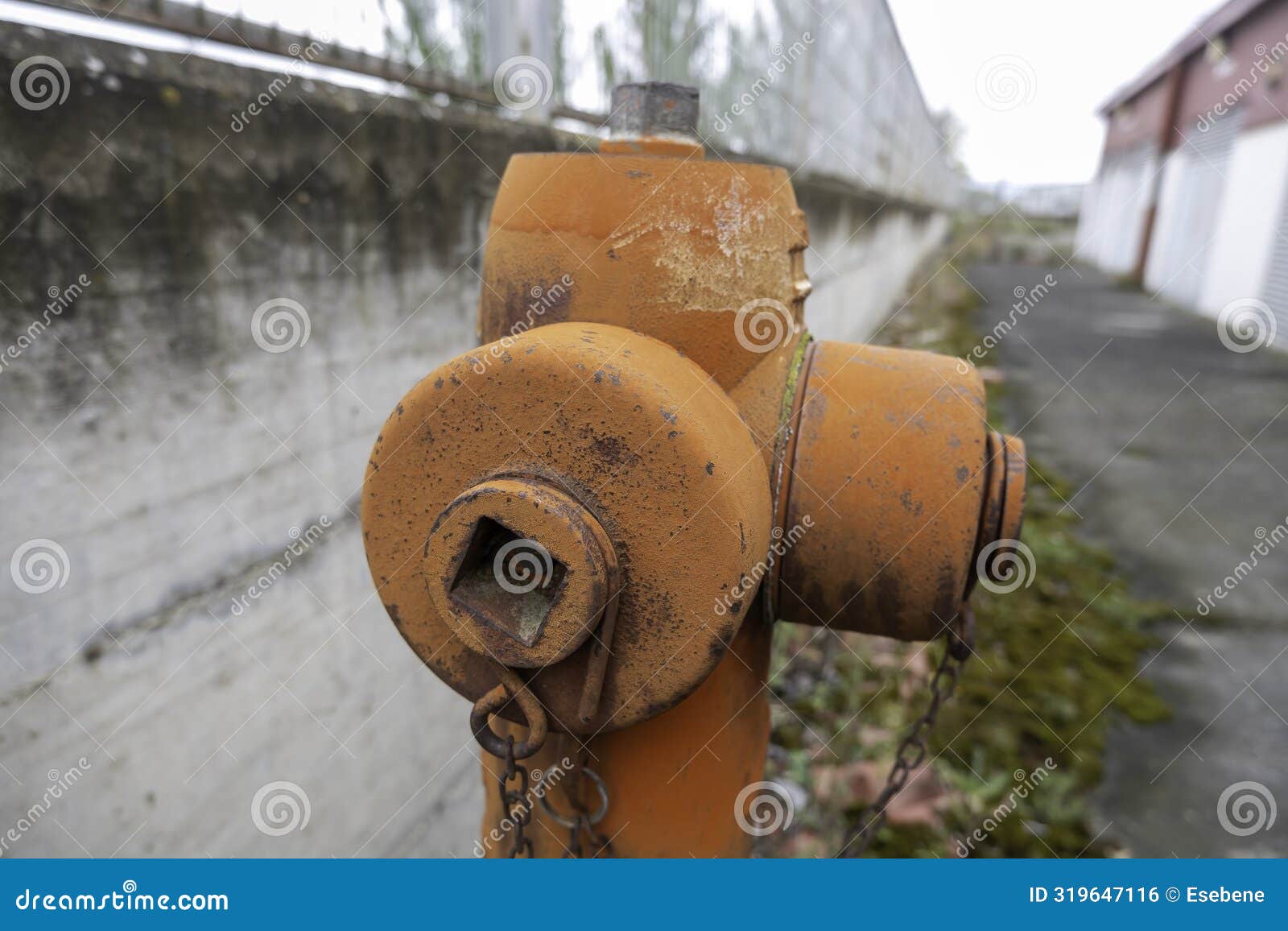 Red fire hydrant stock photo. Image of city, indoor - 319647116