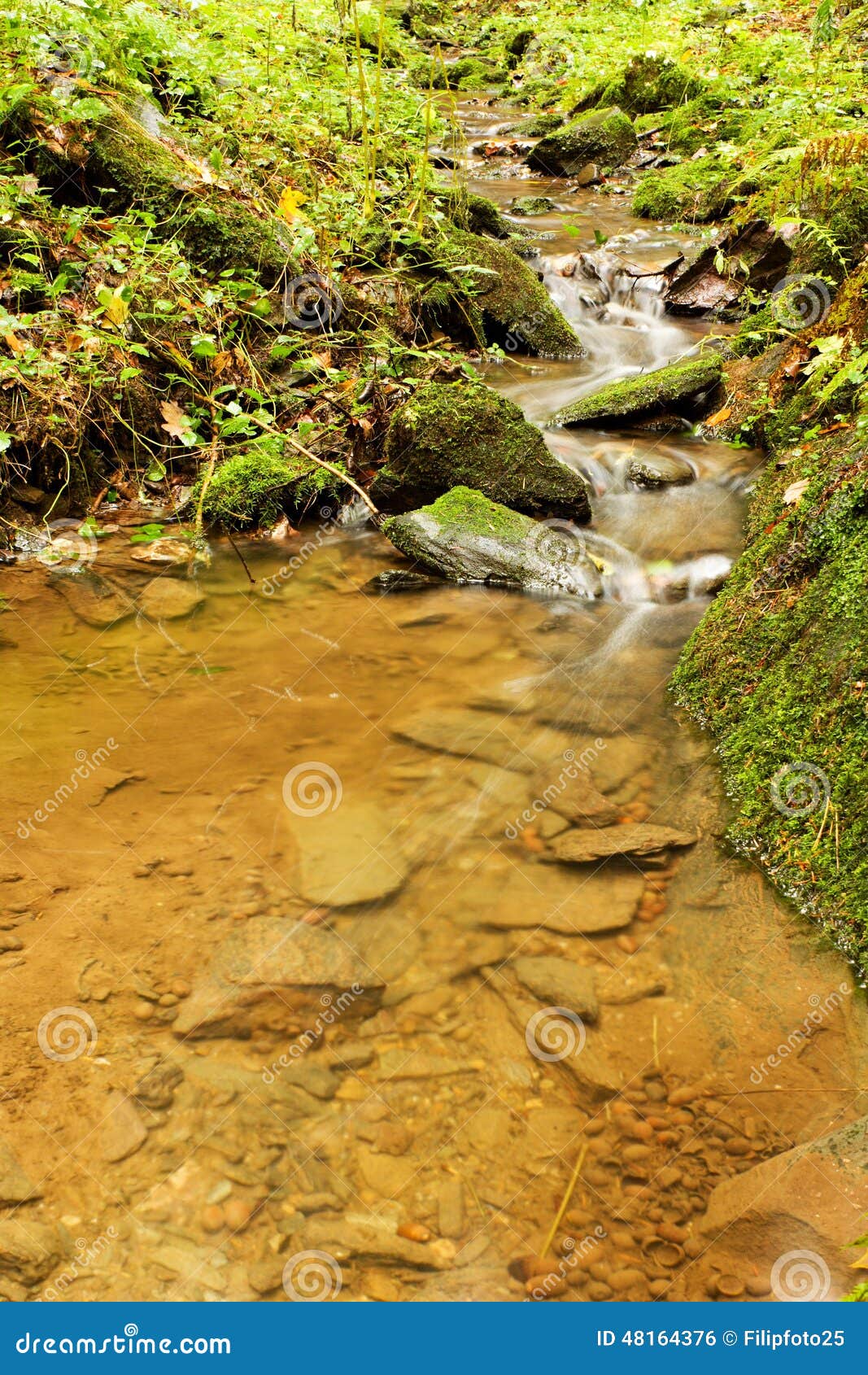 Detail weir stock photo. Image of nature, europe, details - 48164376