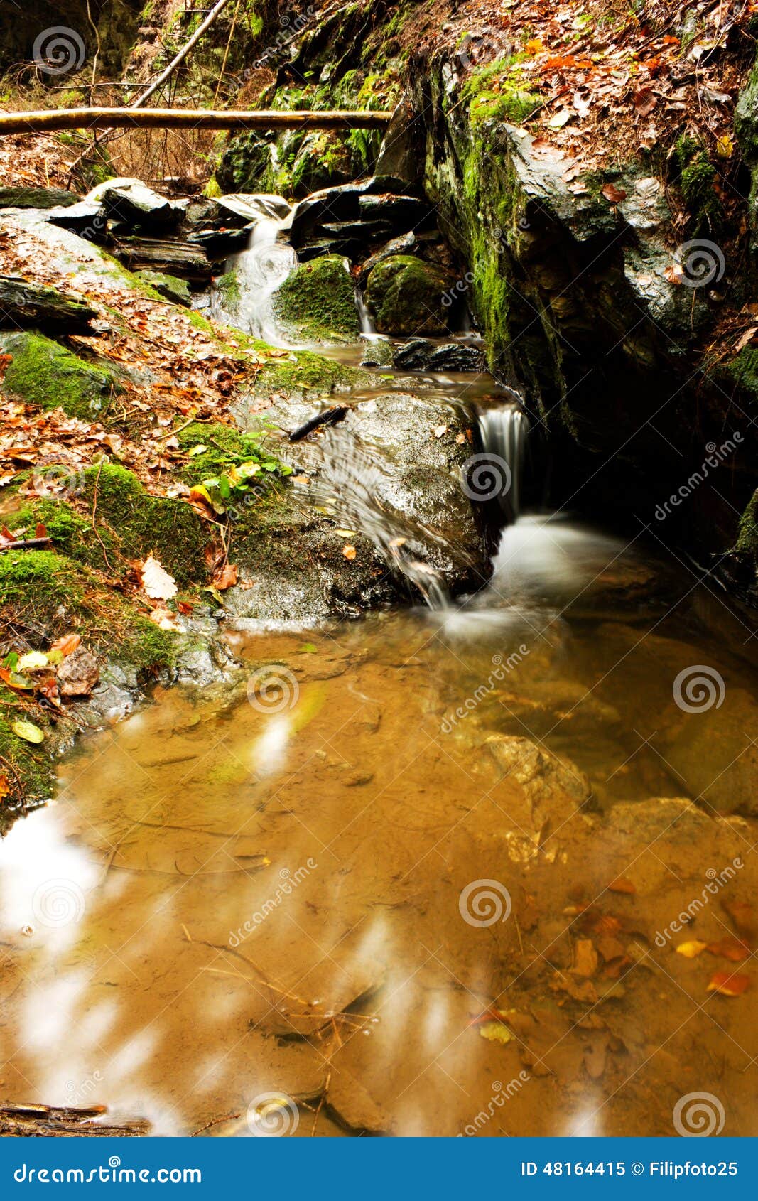 Detail weir stock image. Image of natural, nature, leaf - 48164415