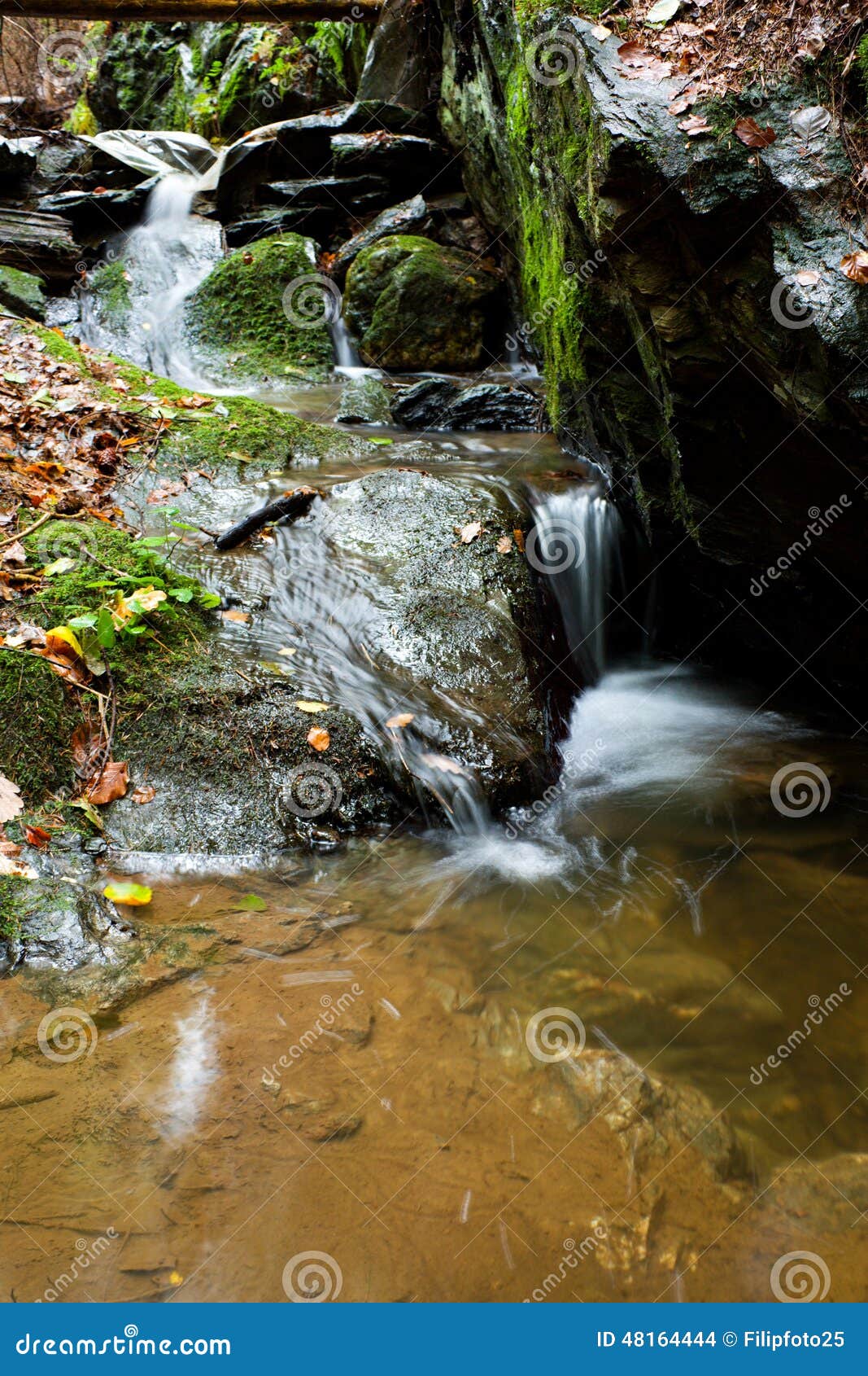 Detail weir stock photo. Image of moss, flowing, nature - 48164444