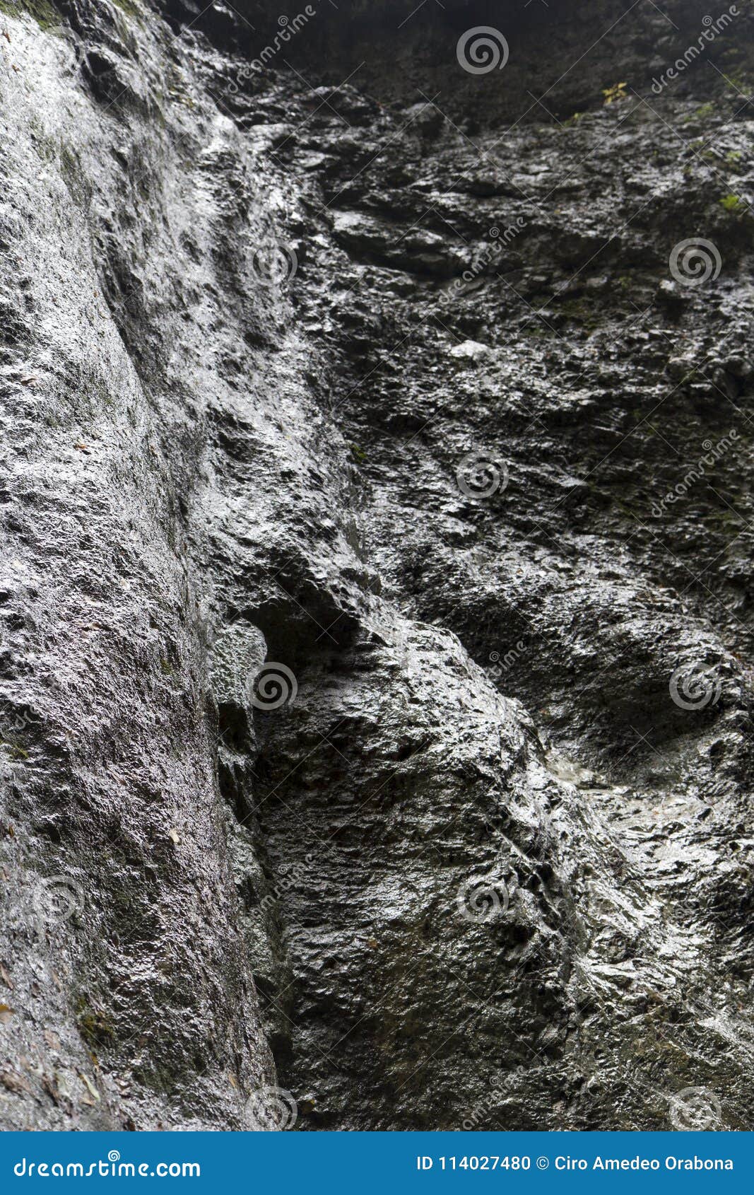 Detail of wet rock stock photo. Image of texture, closeup - 114027480