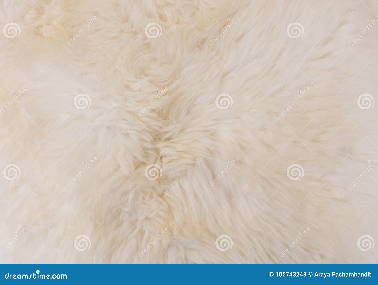 Detail of White Fluffy Wool Texture Background Stock Photo - Image of ...