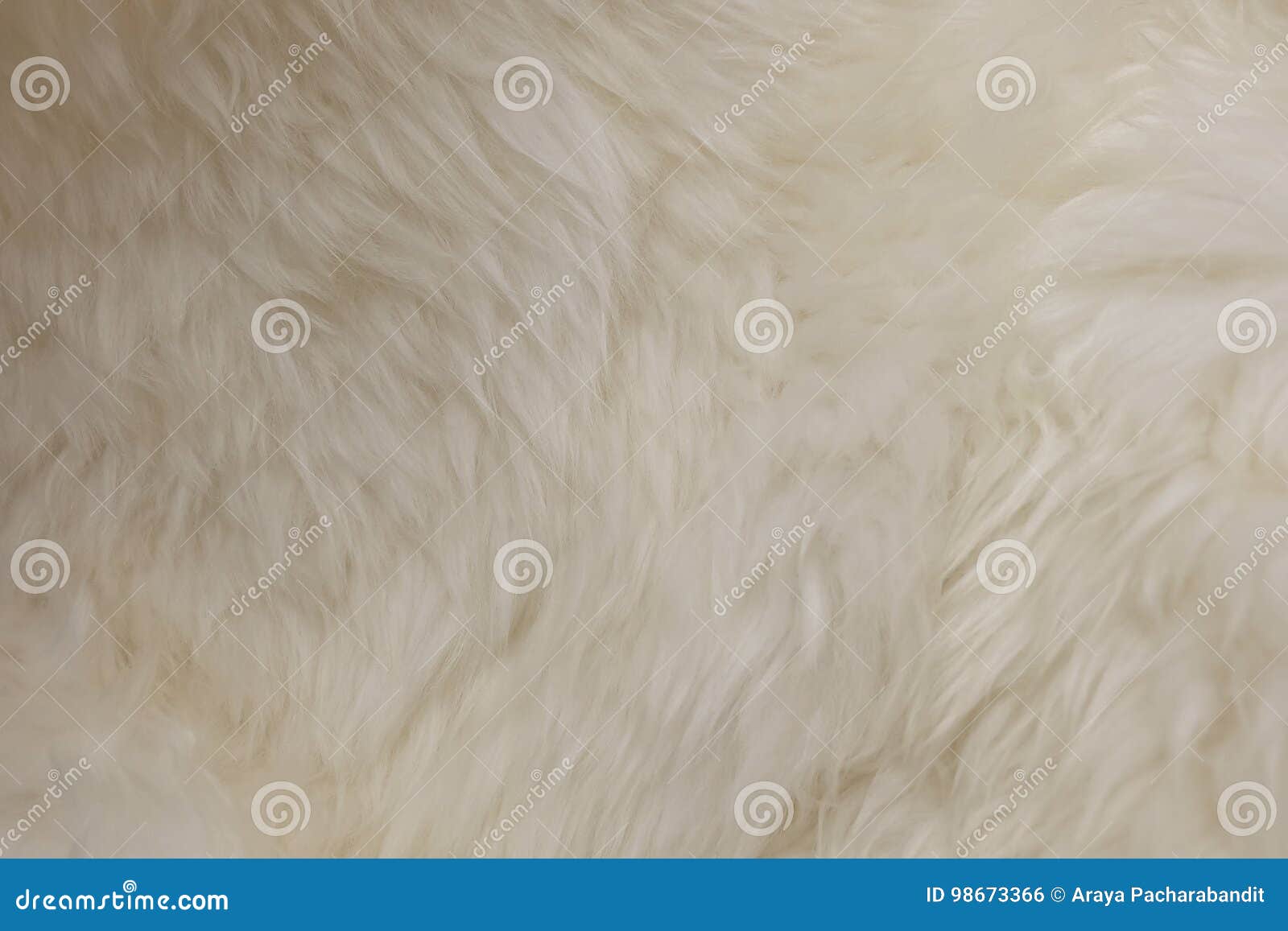 Detail of White Fluffy Wool Texture Background Stock Photo - Image of ...