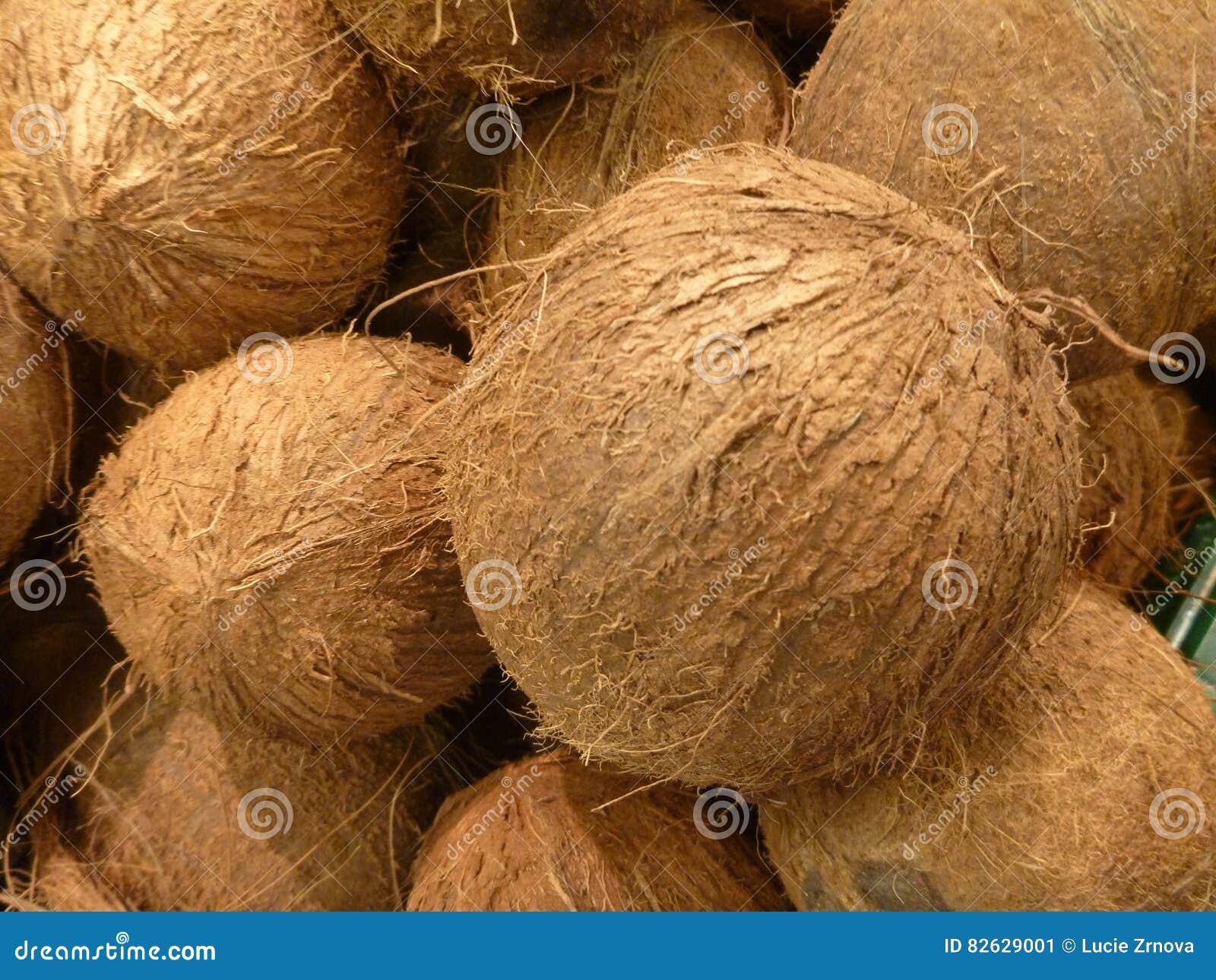 Detail of a Whole Raw Coco Nut Stock Image - Image of dessert, coco ...