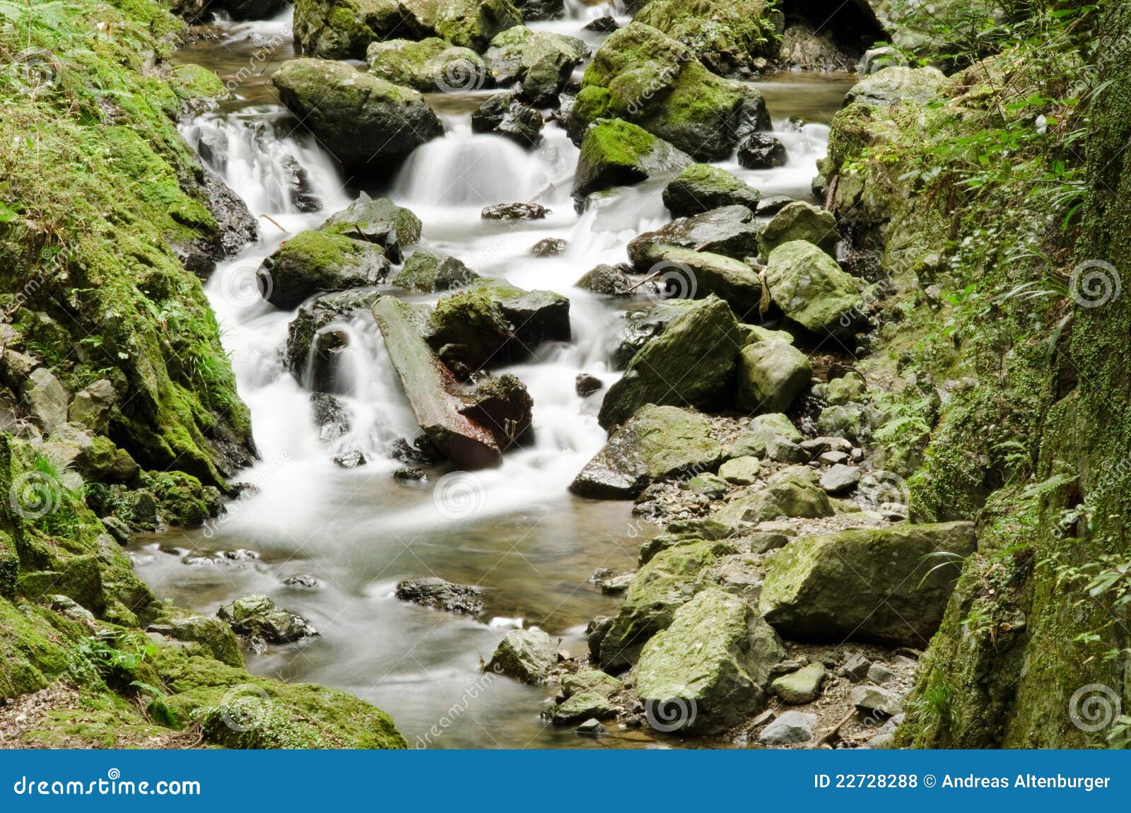 Detail of a wild river stock photo. Image of beautiful - 22728288