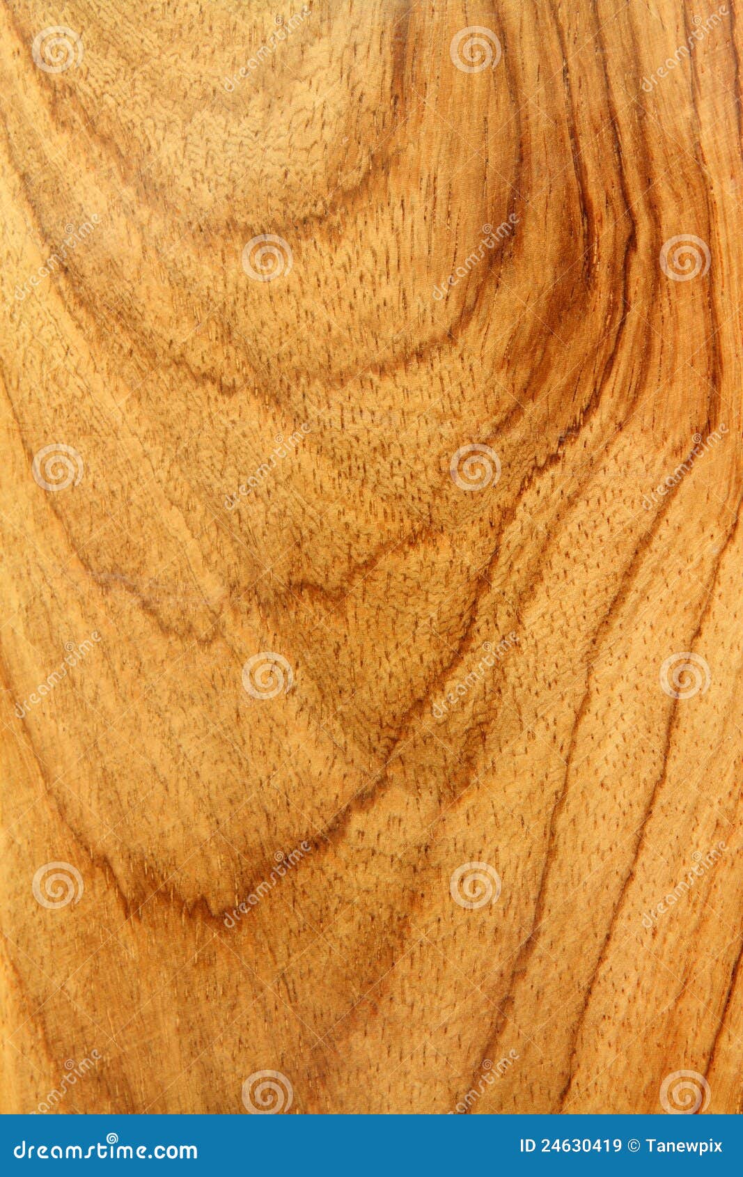 Detail of wood texture. stock image. Image of board, dark - 24630419