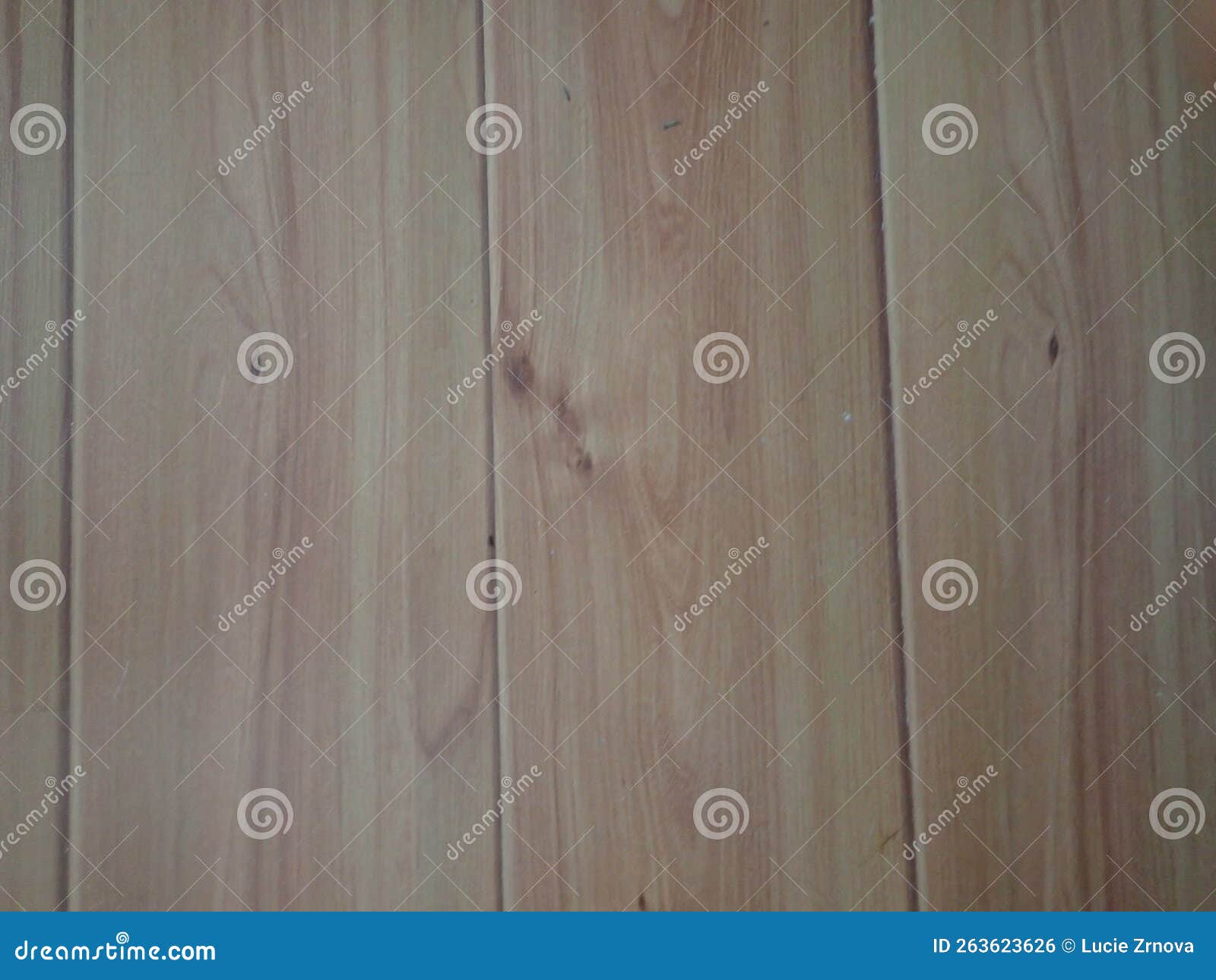 Wood texture on a plank stock photo. Image of grain - 263623626