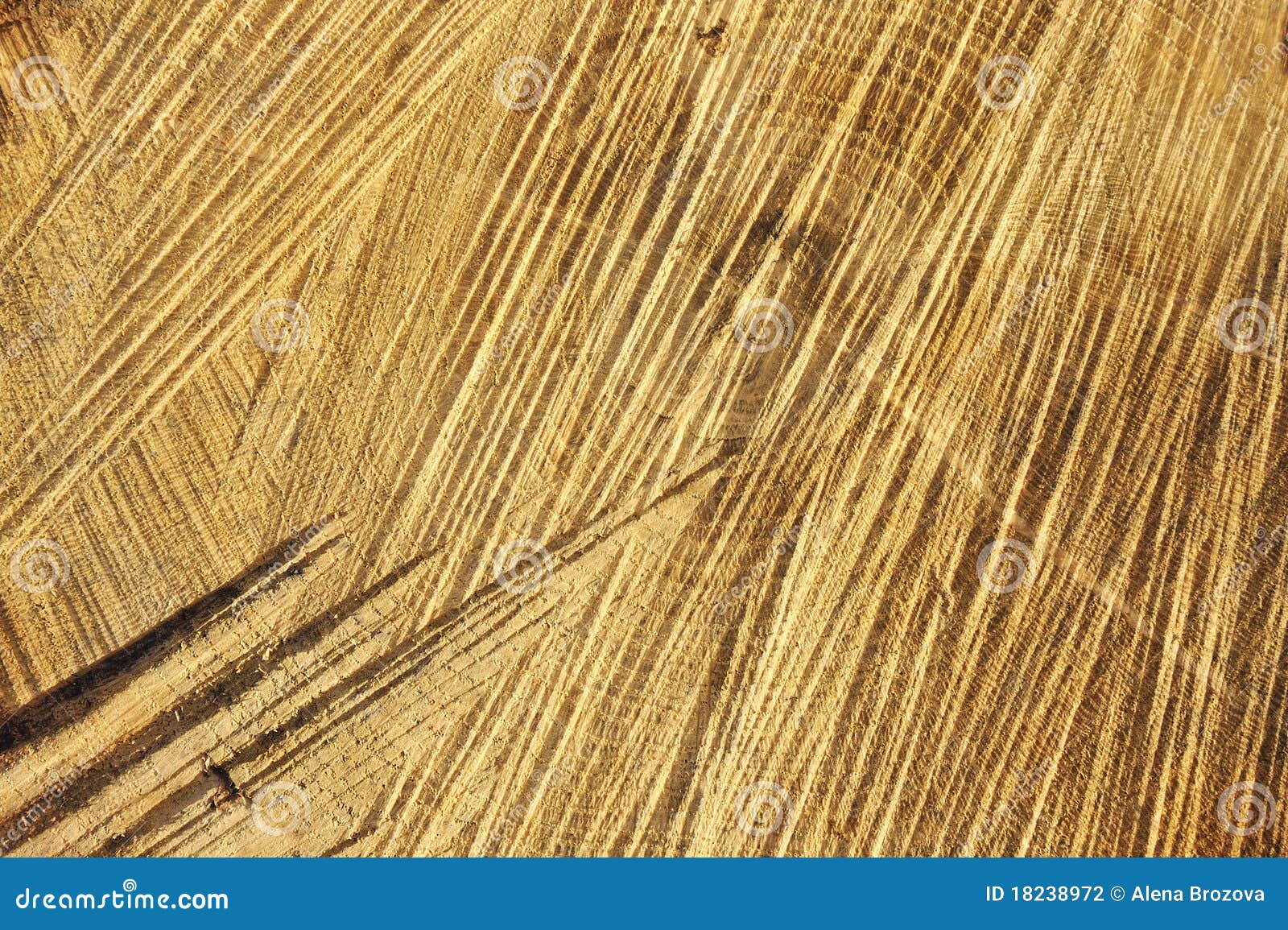 Detail of Wooden Cut Texture Stock Photo - Image of layer, blank: 18238972