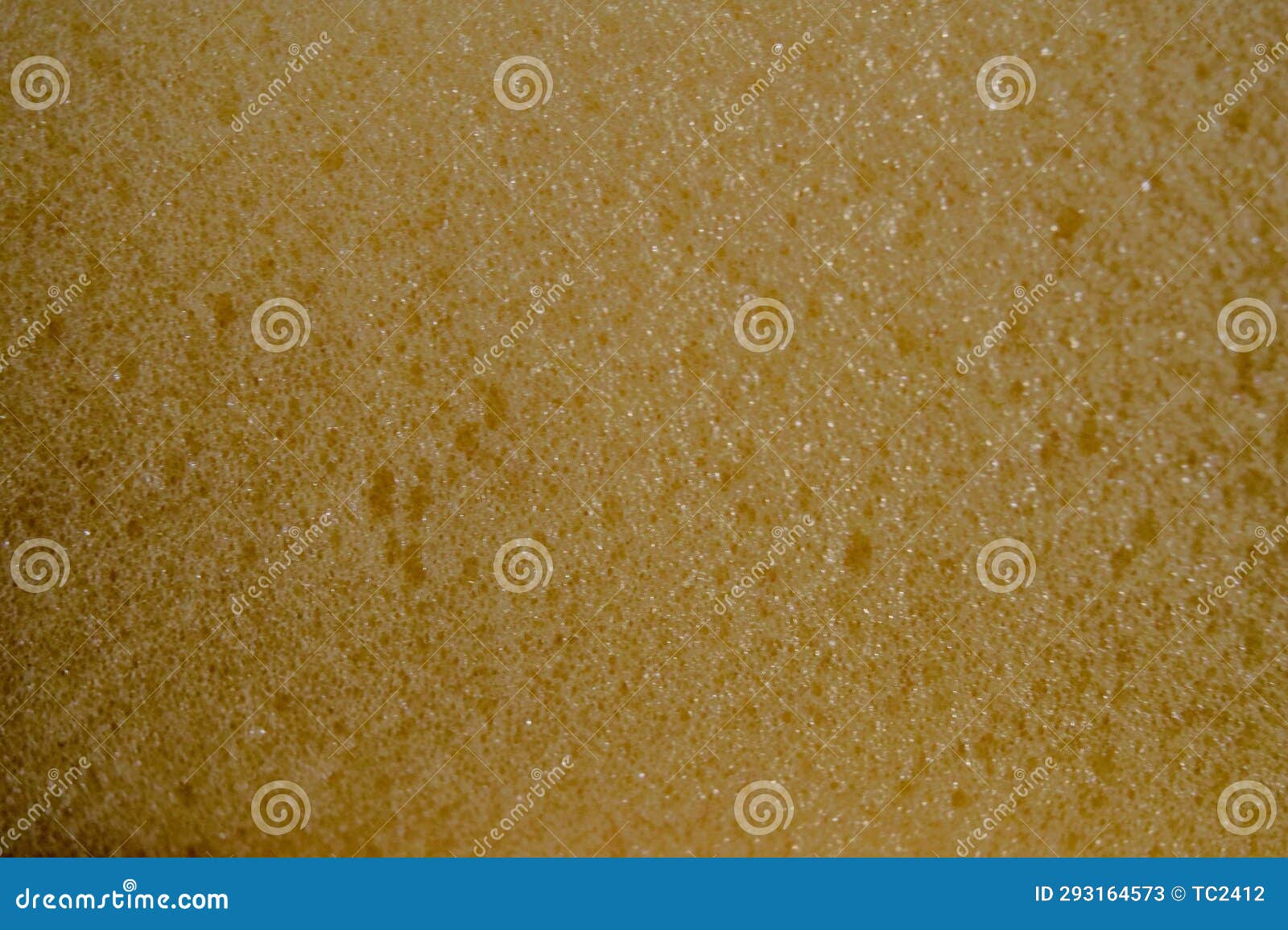 Detail of Yellow Foam Rubber Texture Stock Image - Image of wall ...
