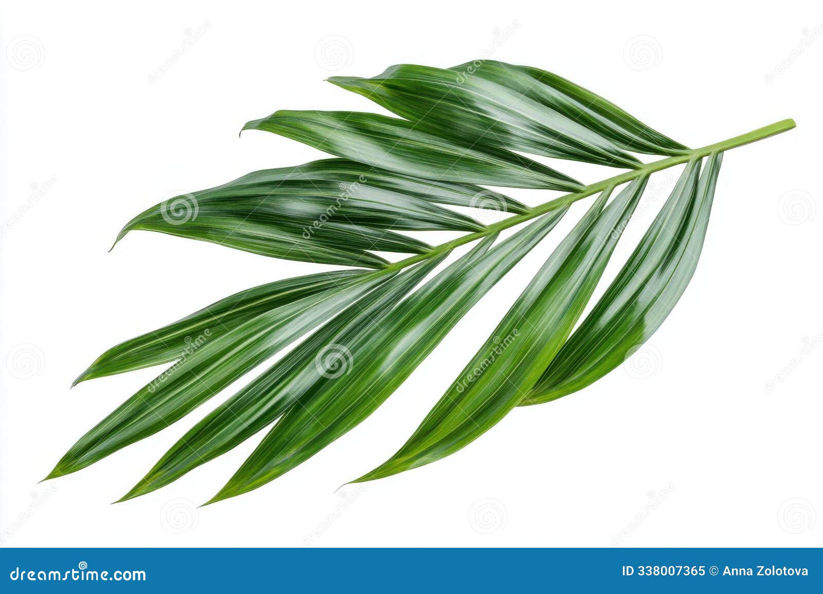 A Sharp, Linear Modern Art Minimal Flat Ray Curve Is Simple And Elegant ...