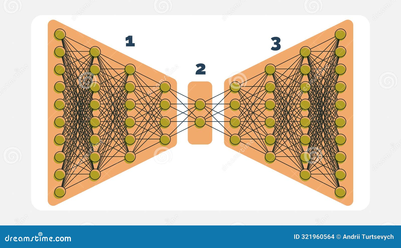 Detailed Autoencoder Network Illustration Encoding Hidden Layer And Decoding Stock Vector