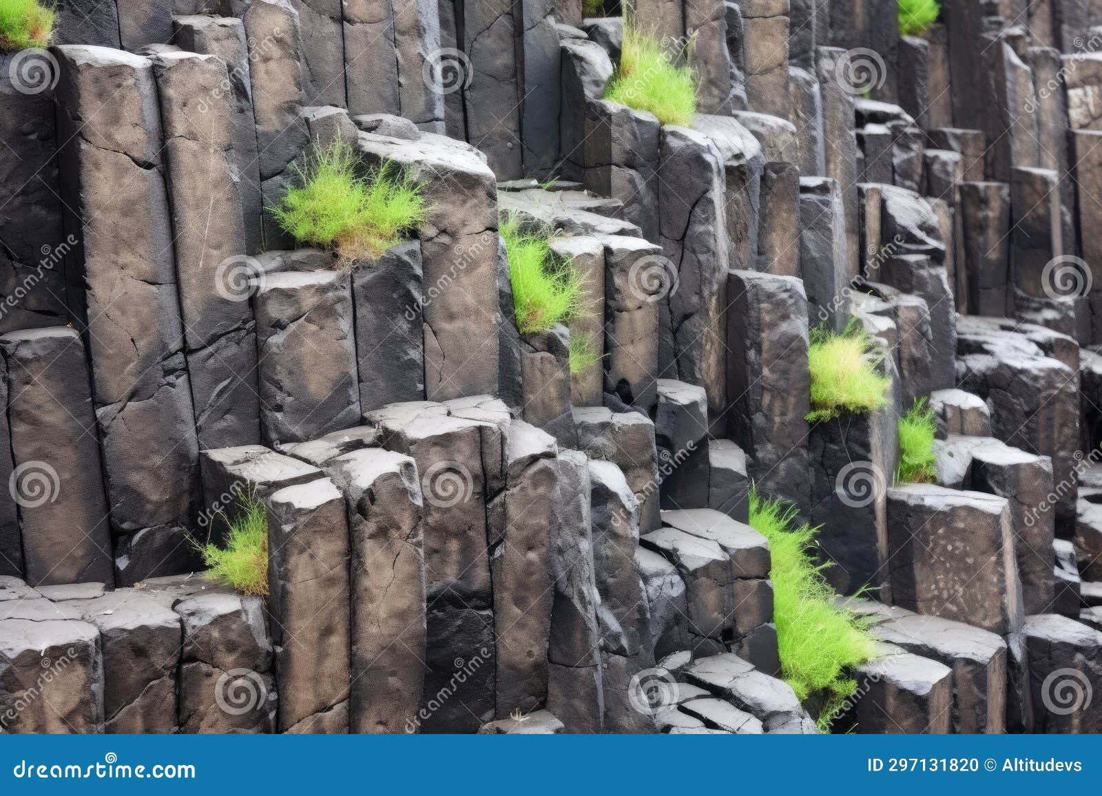 Detailed Basalt Columns Structure Stock Photo - Image of nature ...
