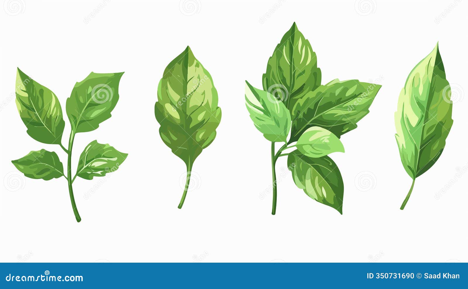 Detailed Basil Leaf Clip Art Vector Illustration on White Background ...