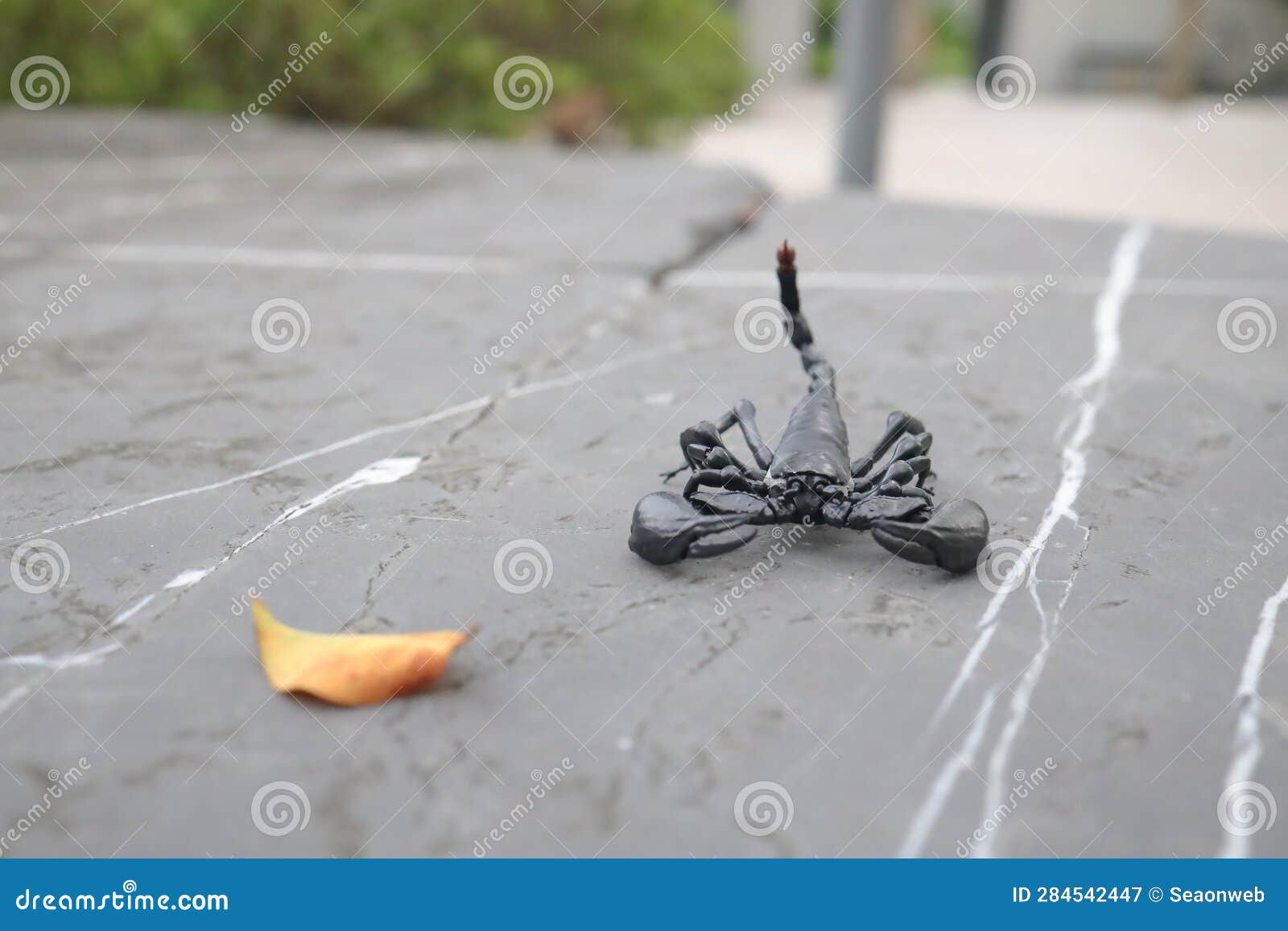 A Detailed and Captivating Close-up View of Scorpion Stock Image ...