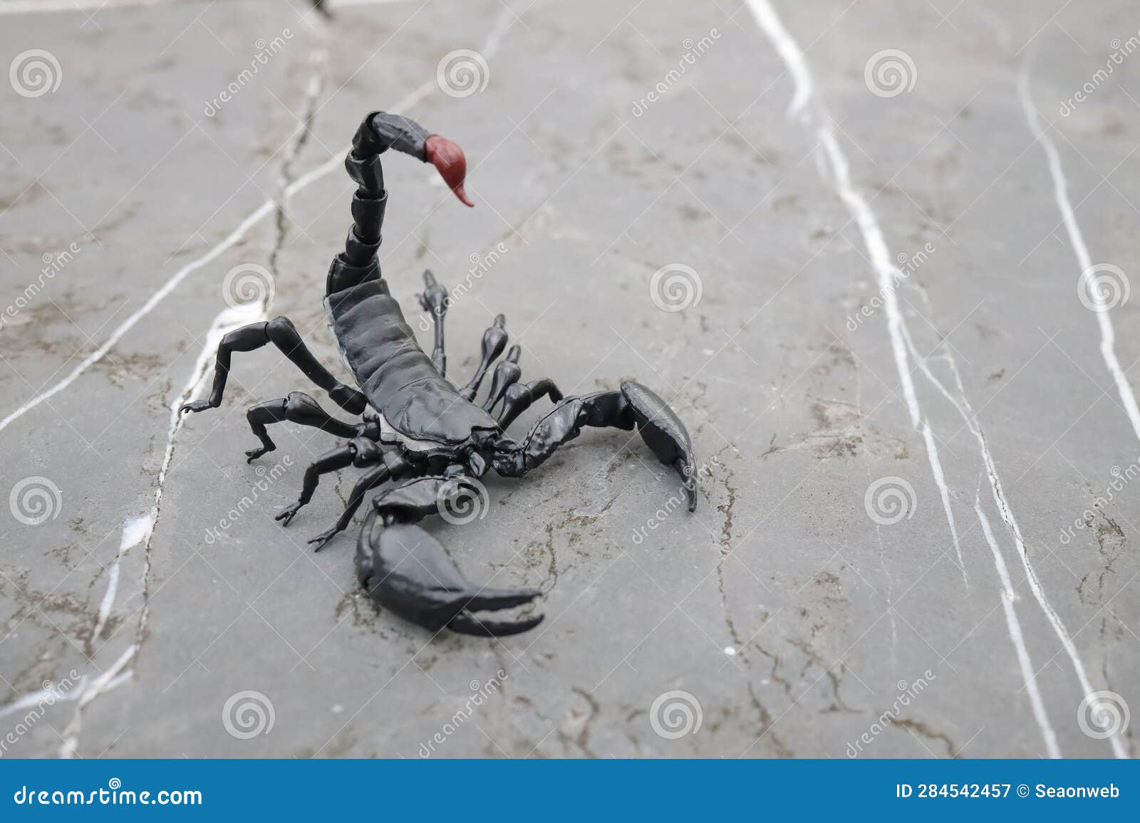 A Detailed and Captivating Close-up View of Scorpion Stock Image ...