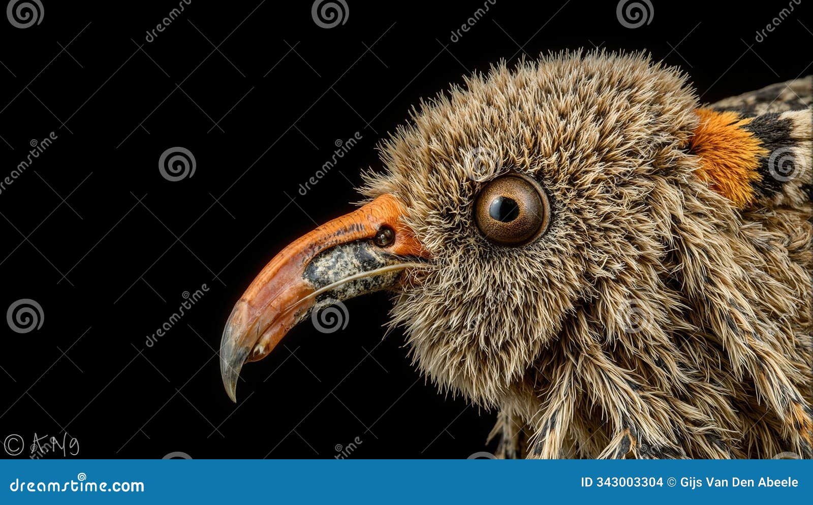 Hawk Moths Butterflies. Nocturnal Insects. Seamless Watercolor Pattern ...