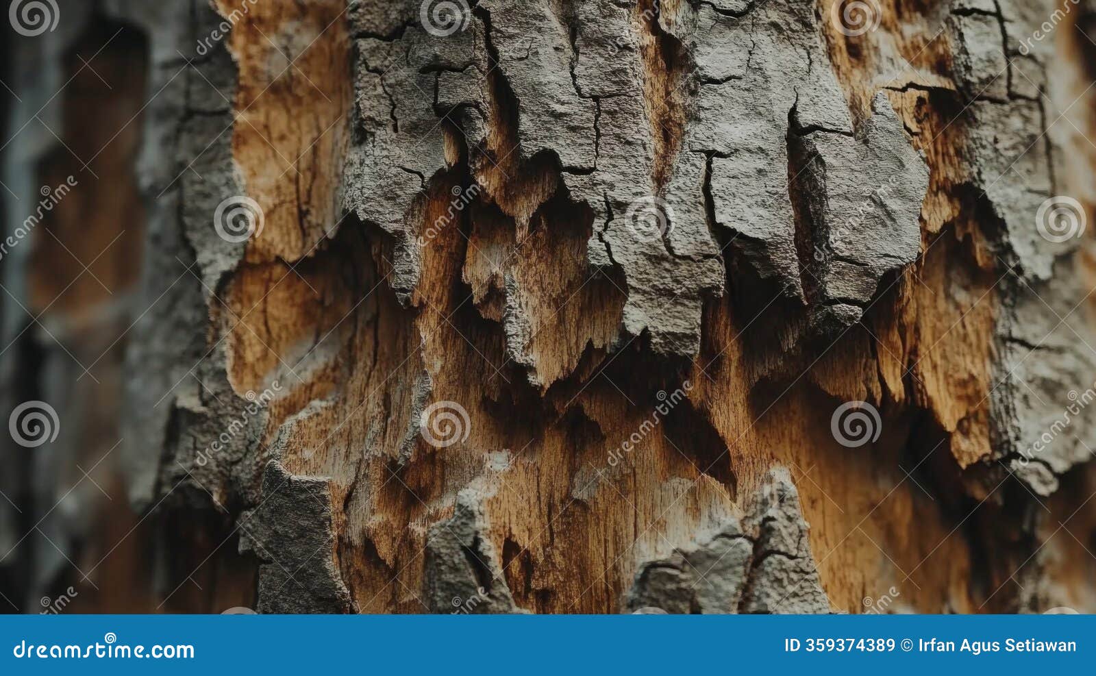 Detailed Closeup of Damaged Tree Bark Texture Stock Illustration ...