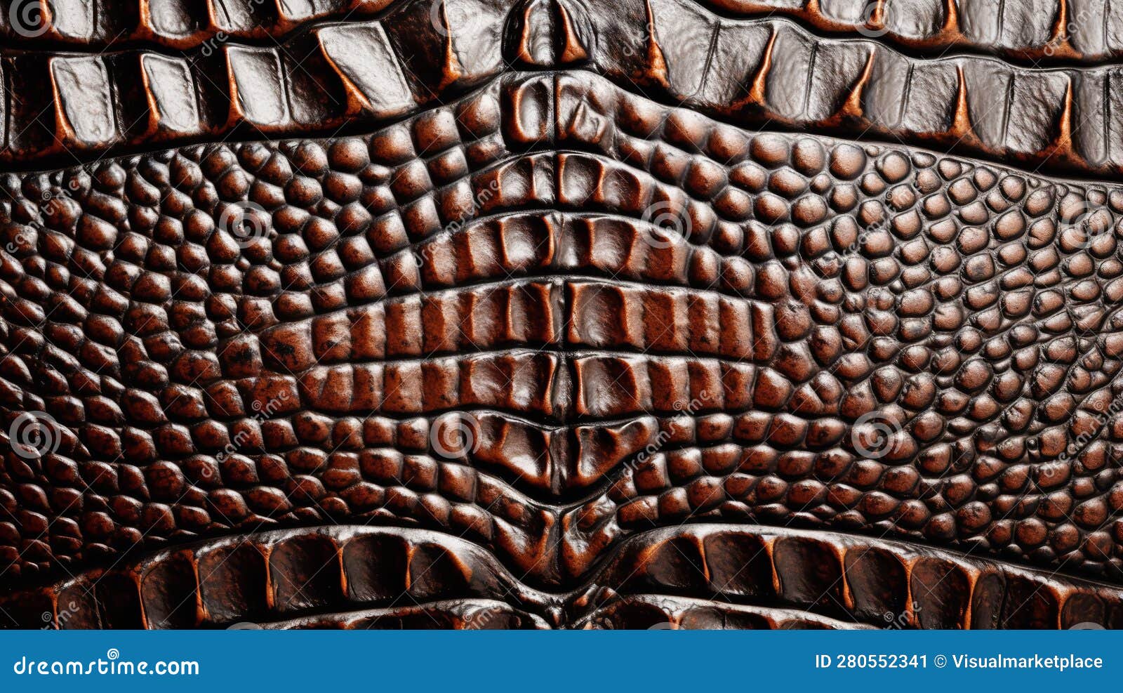 Detailed Crocodile Leather Pattern Stock Illustration - Illustration of ...