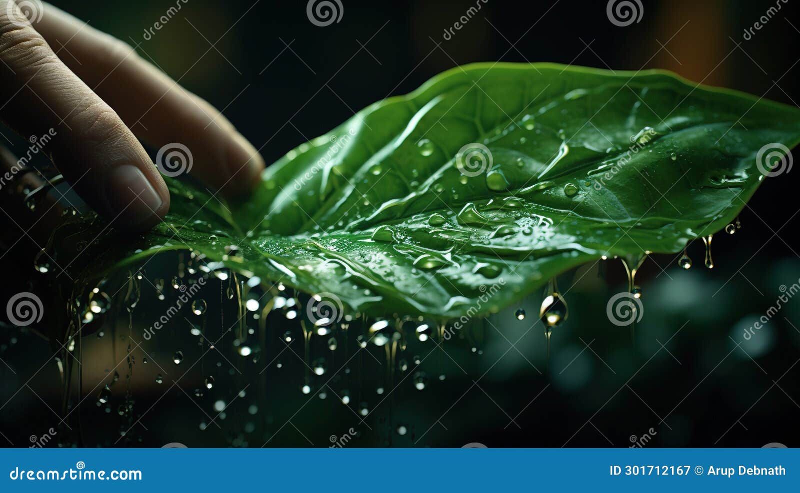 Detailed Cross Sectional Diagram Human Brain Highlighting Major Regions ...