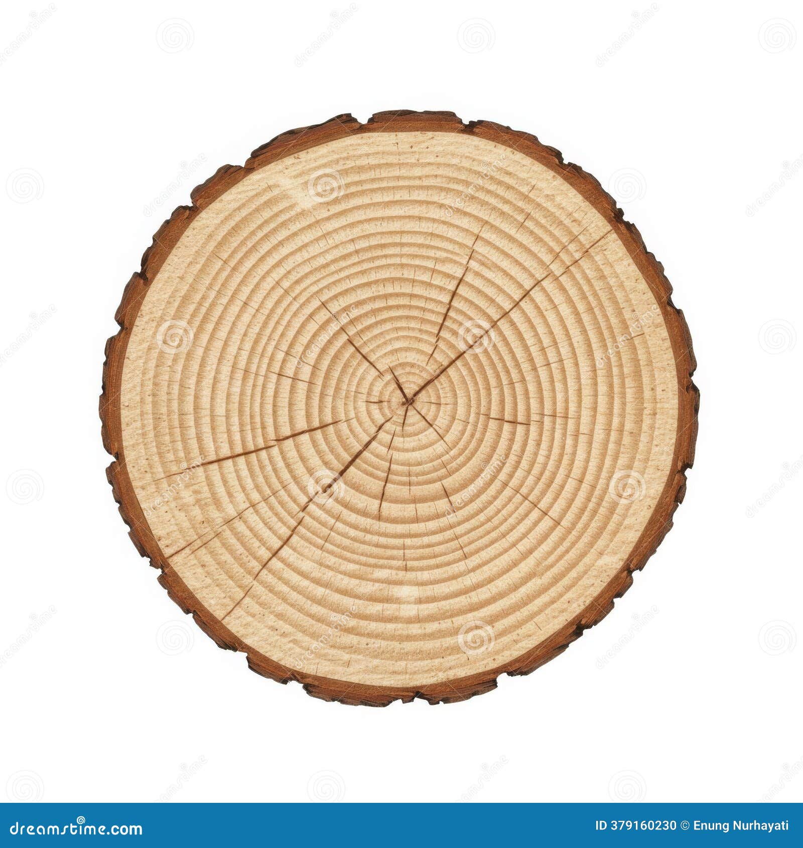 Detailed Cross Section Shows Human Skin Anatomy. Layers Of Epidermis ...