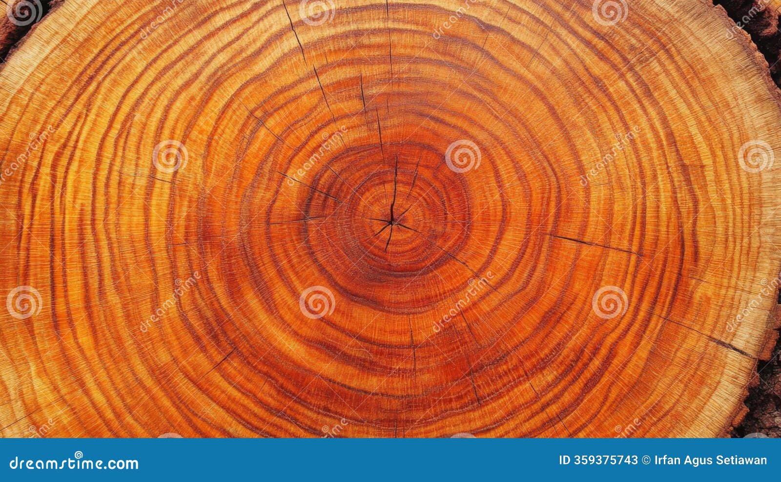 Detailed Cross-Section Illustration Of Human Skin Anatomy Showing Hair ...