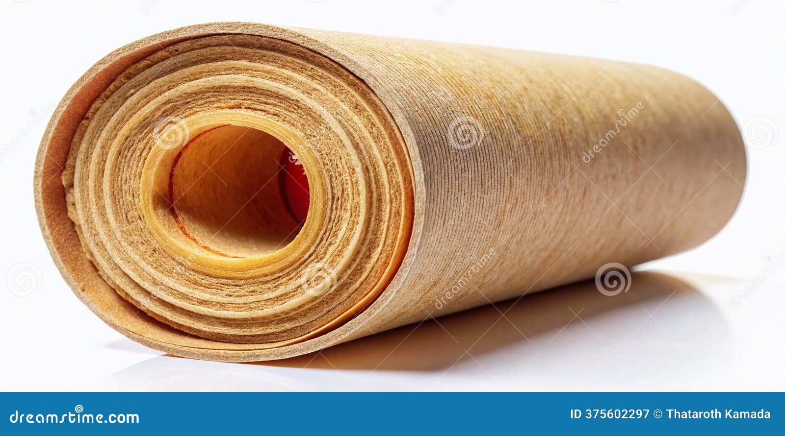 Detailed CrossSection Of A Paper Roll Unveiling The Manufacturing ...