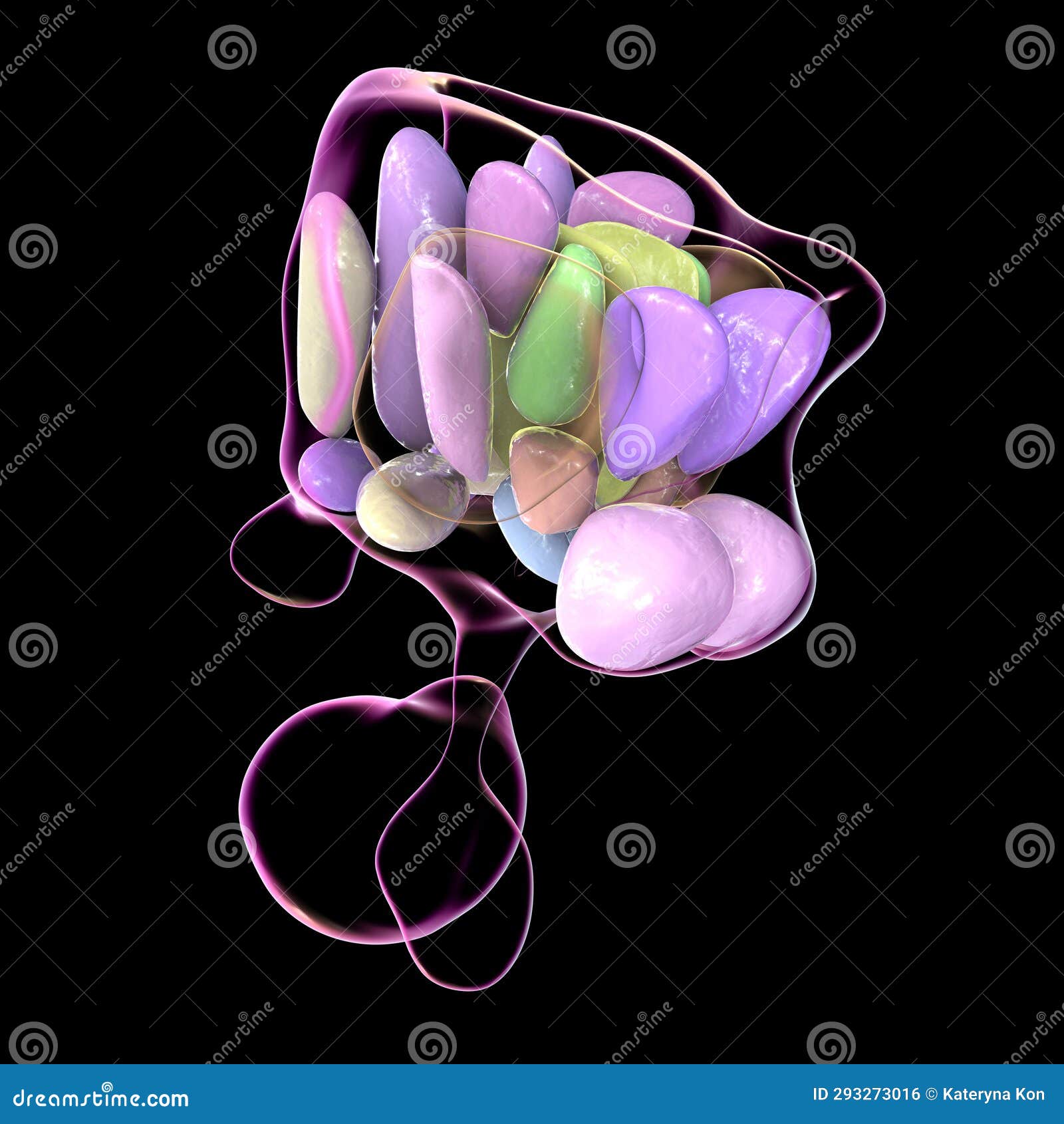 Hypothalamic Nuclei, 3D Illustration Stock Illustration - Illustration ...