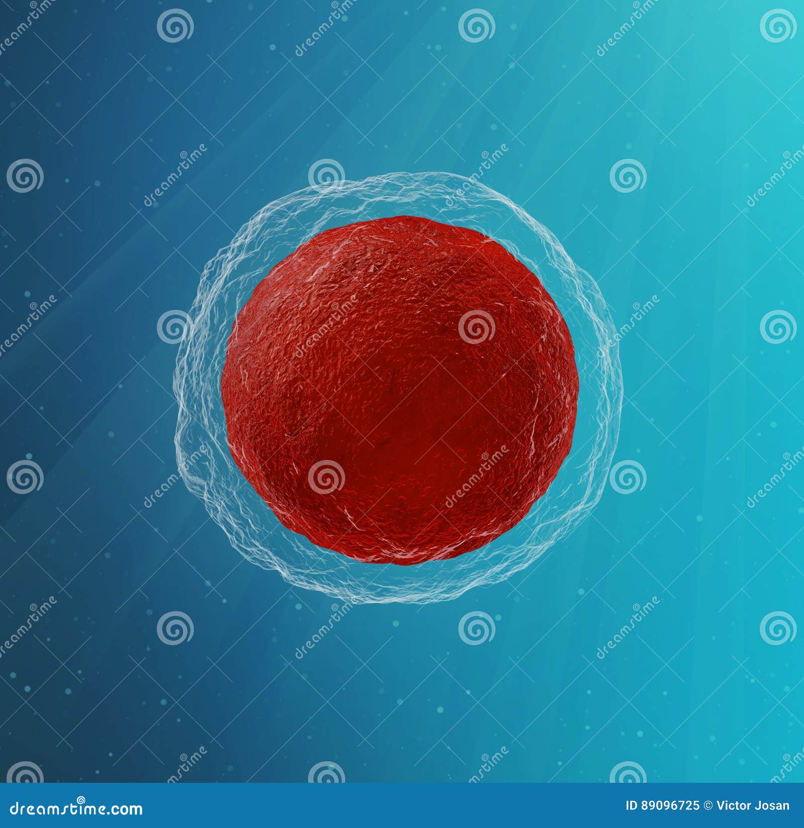 Round Membrane Cells Vector Illustration | CartoonDealer.com #37725932