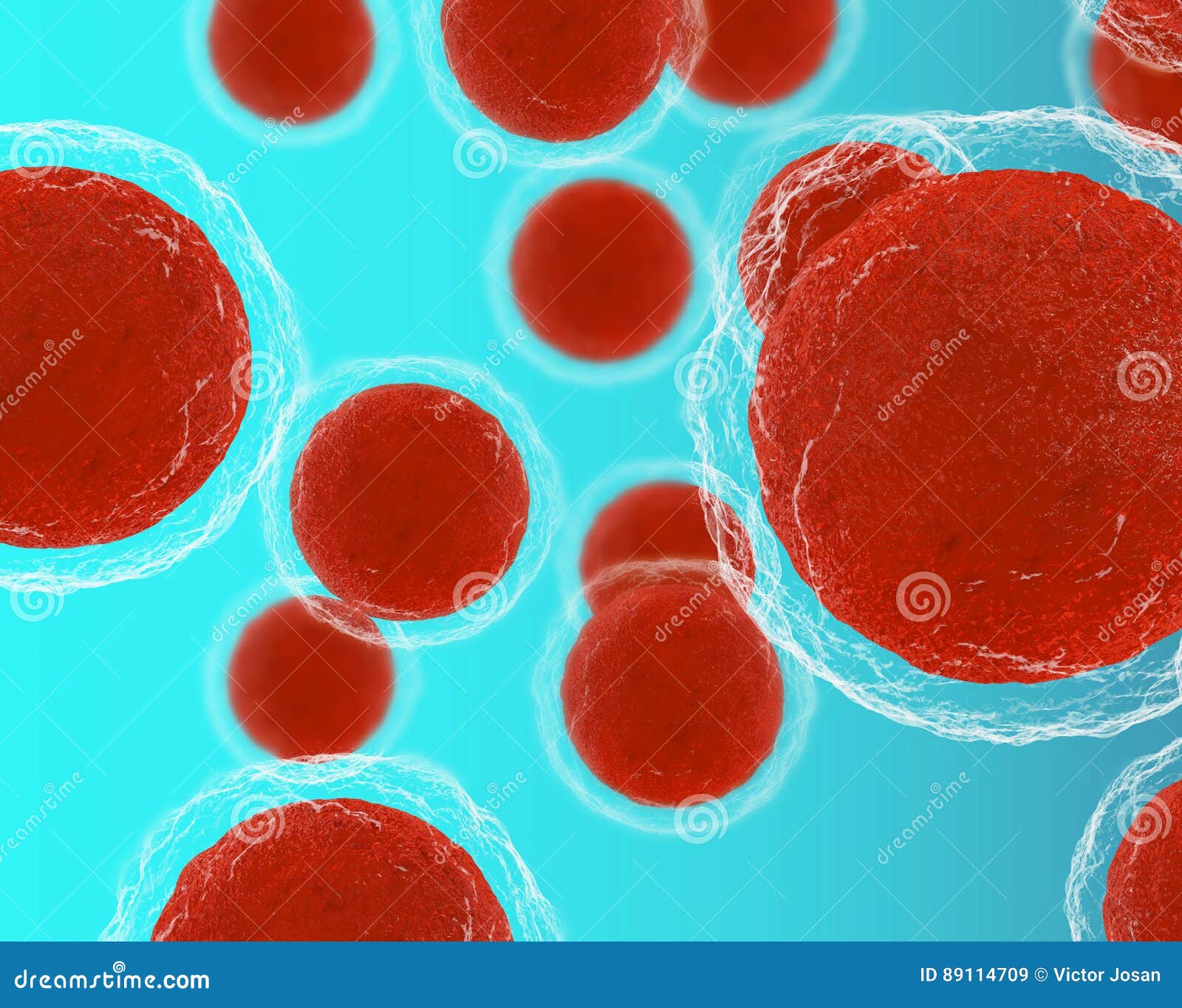 Detailed 3d Illustration of Round Membrane Cells, Blurred Background ...