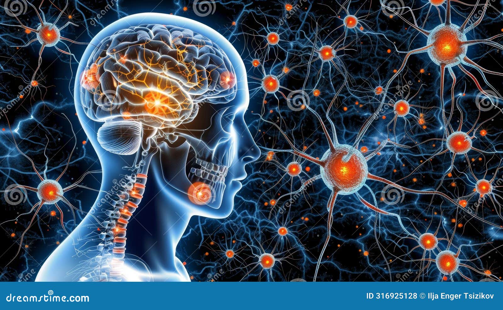 Exploring The Intricacies Of Dna The Blueprint Of Life And Genetic Code ... Exploring The Intricacies Of Dna The Blueprint Of Life And Genetic Code ...