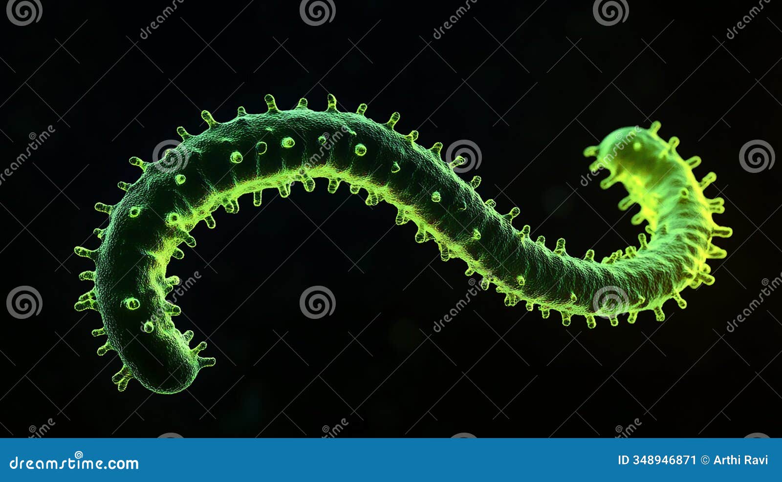 A Detailed 3D Microscopic Visualization, Highlighting the Elongated ...