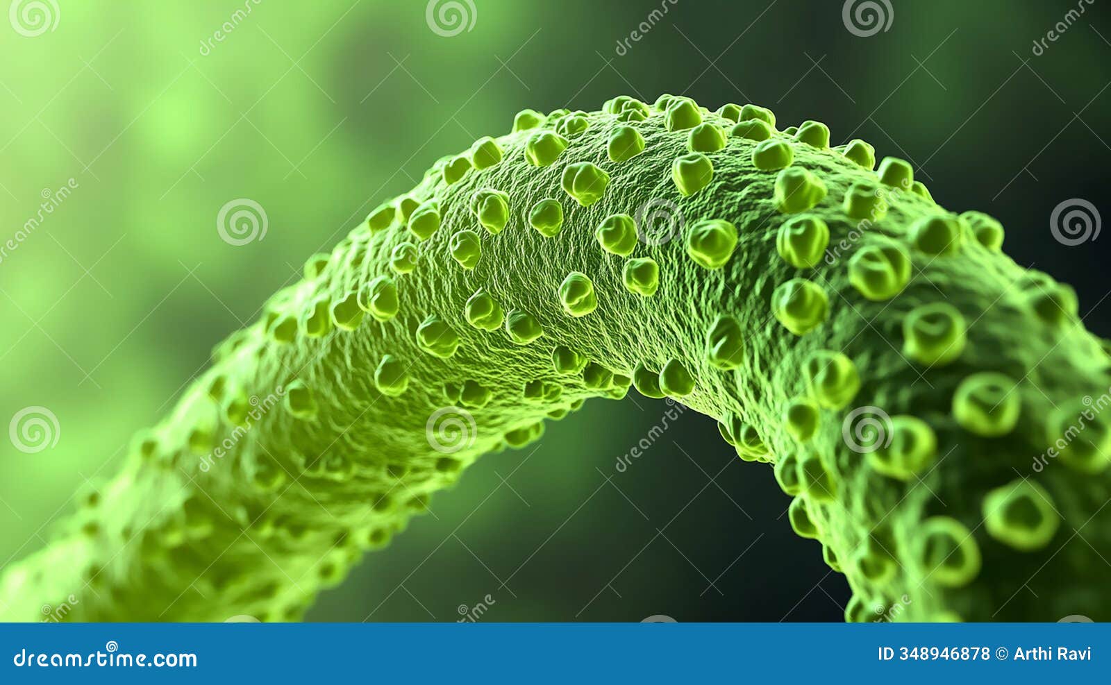 A Detailed 3D Microscopic Visualization, Highlighting the Elongated ...