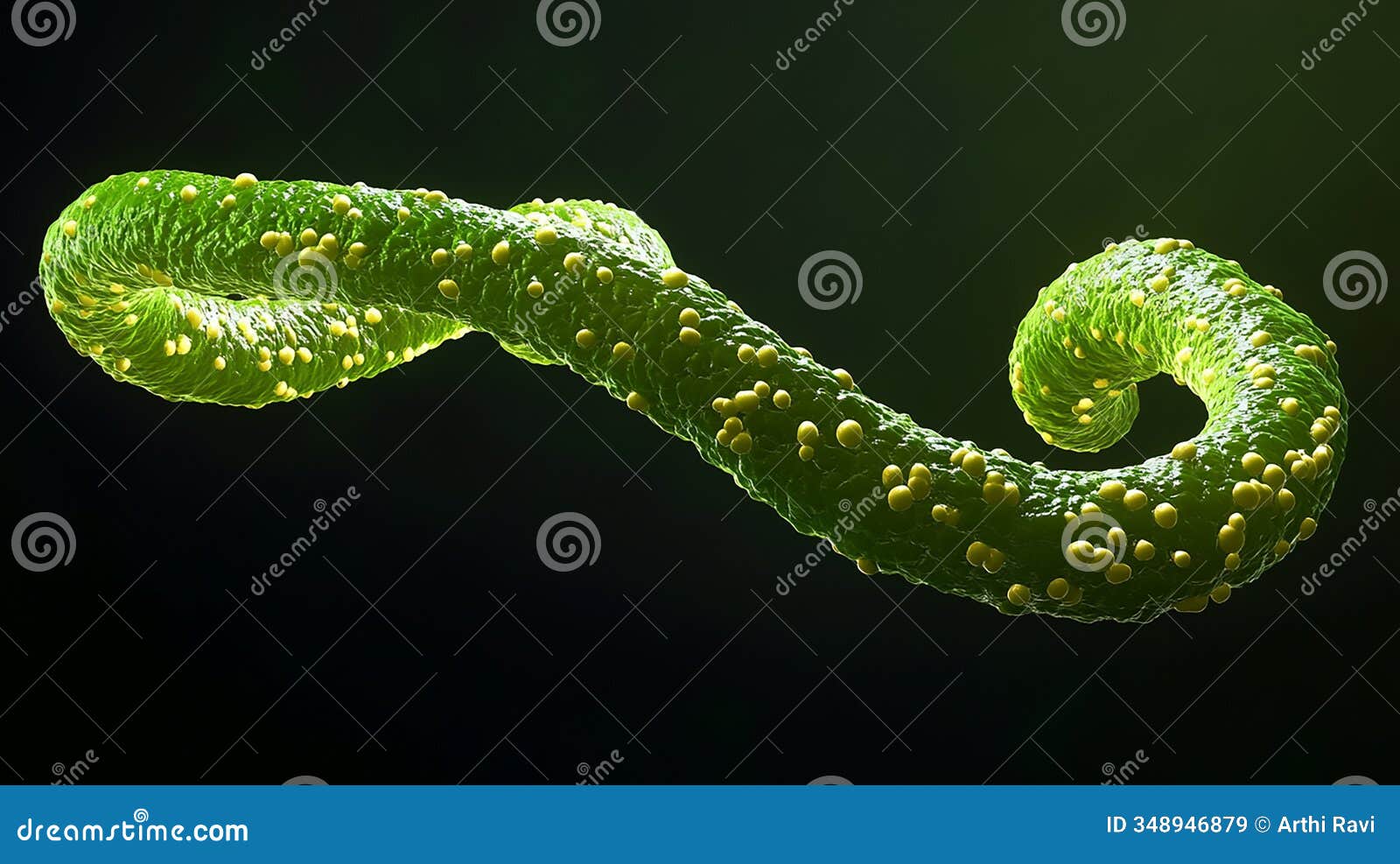 A Detailed 3D Microscopic Visualization, Highlighting the Elongated ...