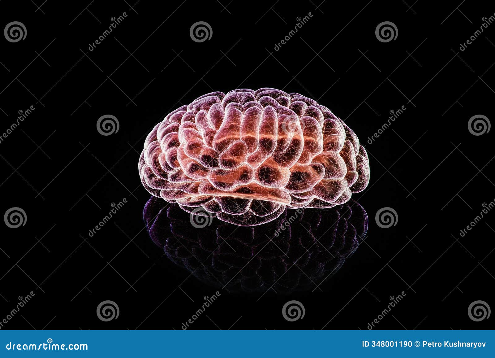 Detailed 3D Model of Human Brain. Network of Interconnected Structures ...