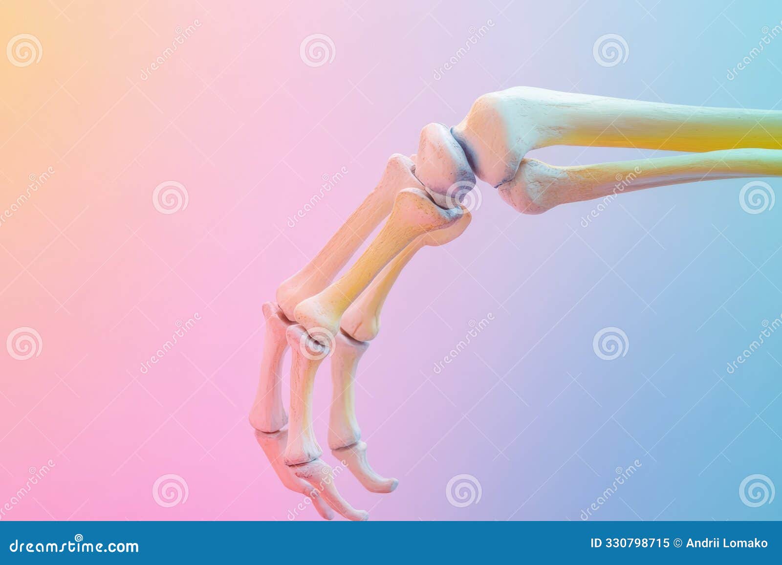 A Realistic 3D Render of a Human Arm and Hand Against a Gradient ...