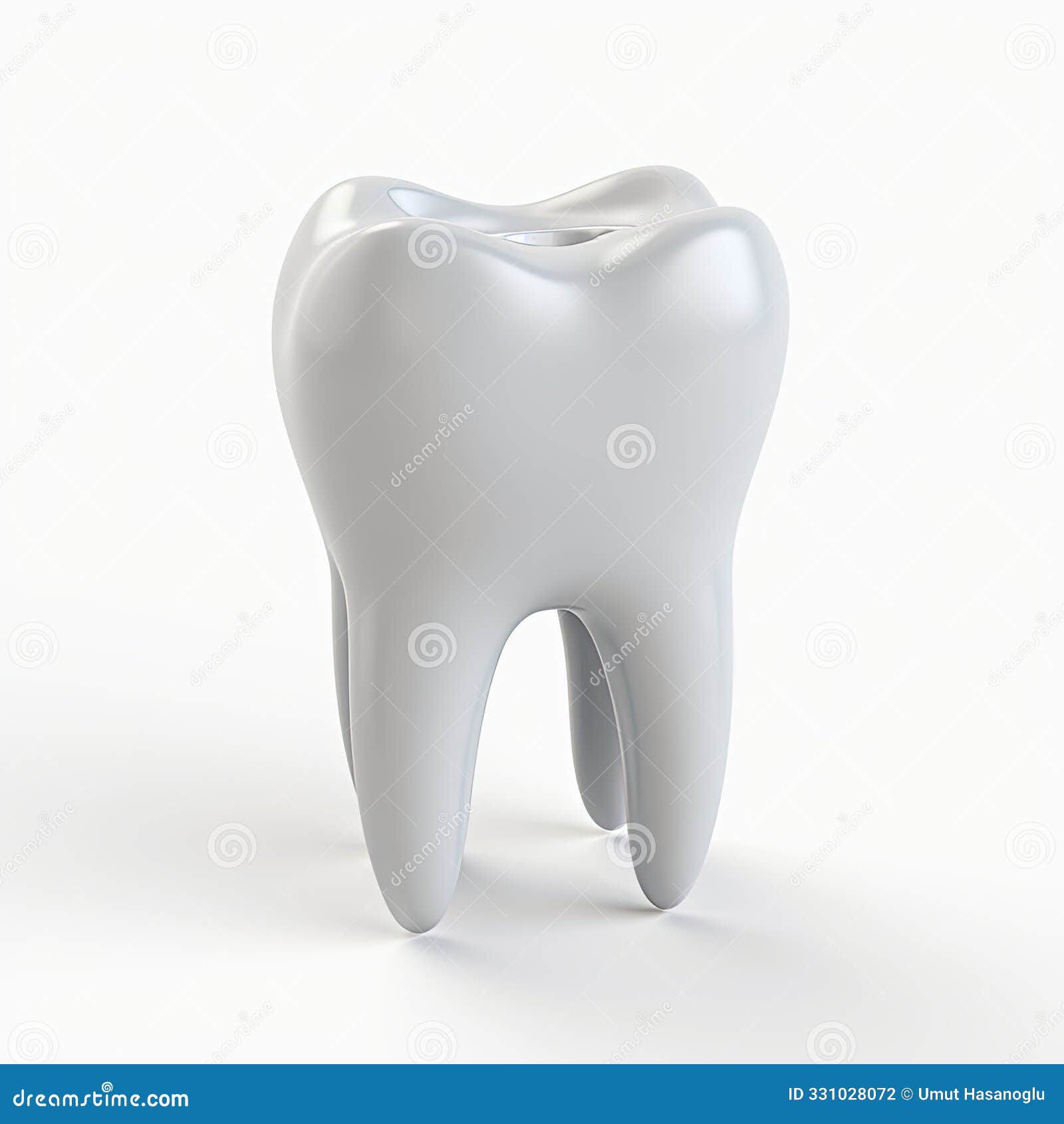 A Detailed 3D Rendering of a Human Molar Tooth on a Plain White ...
