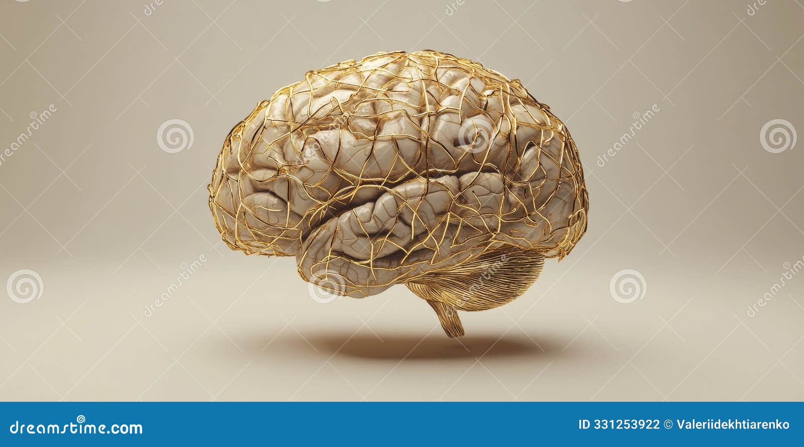 Detailed 3D Visualization of Human Brain Encased in a Web of Golden ...