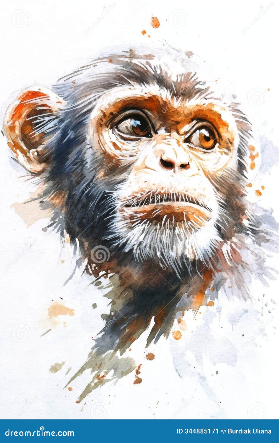 A Detailed Drawing of a Classic Monkey Portrait Capturing the Essence ...