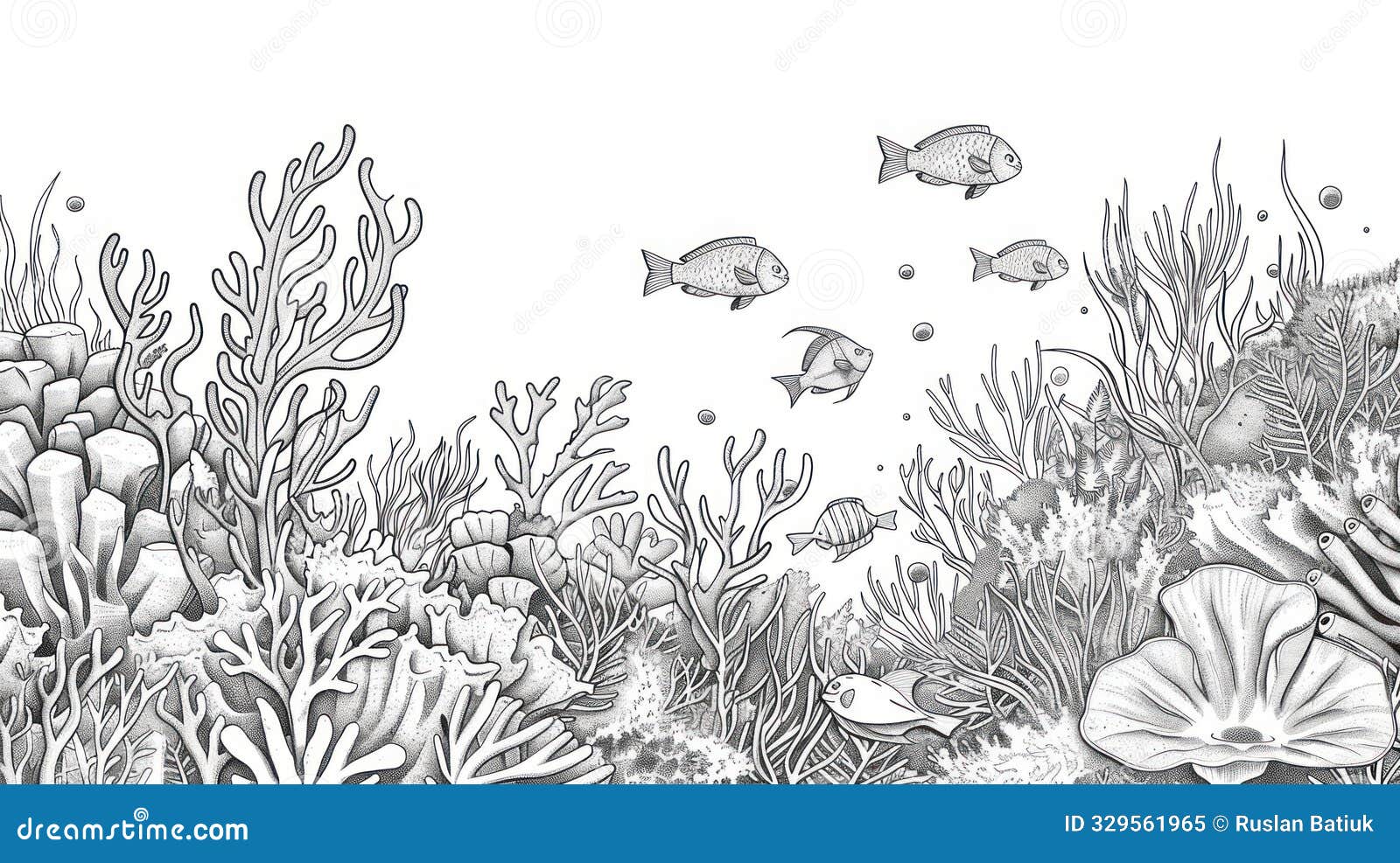 Detailed Drawing: Outline Illustration, Form and Structure of Subject ...