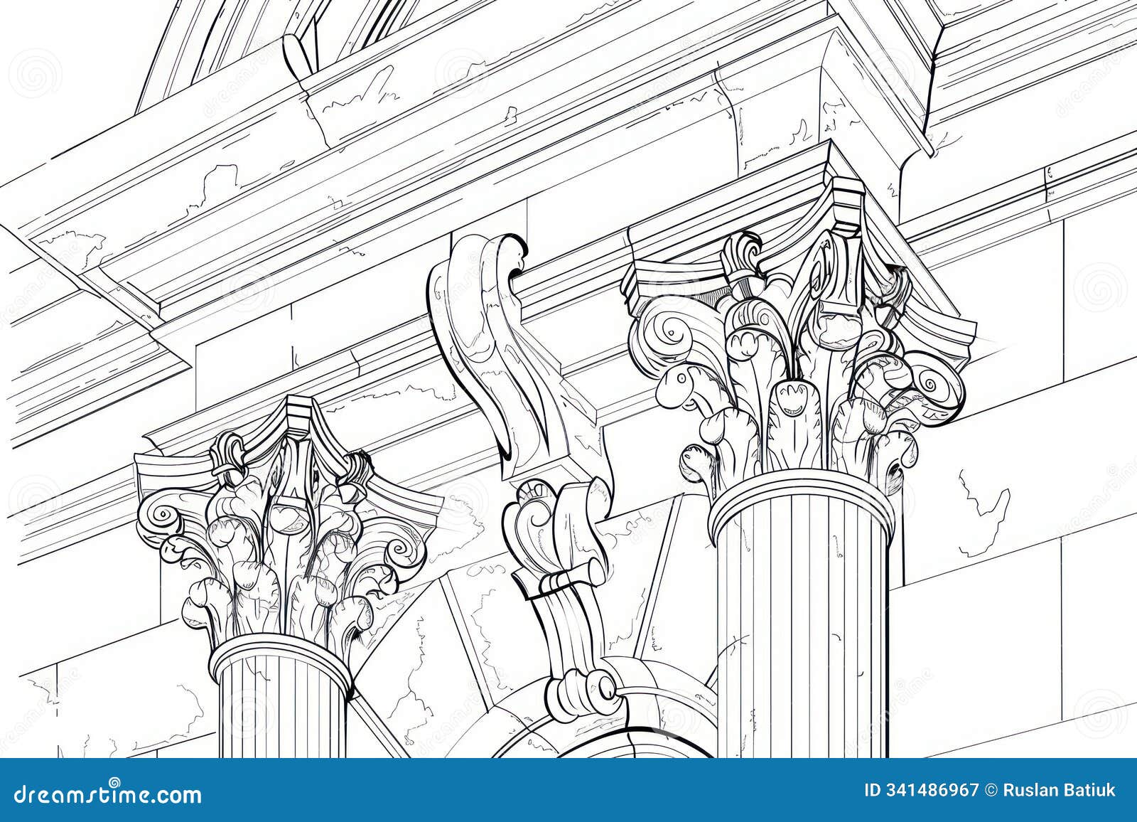 Detailed Drawing: Outline Illustration, Form and Structure of Subject ...