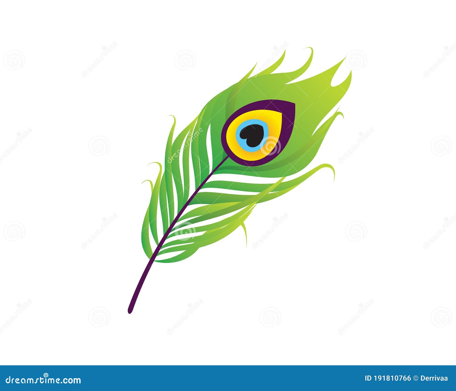 Detailed Elegant Peacock Feather Illustration Stock Vector ...