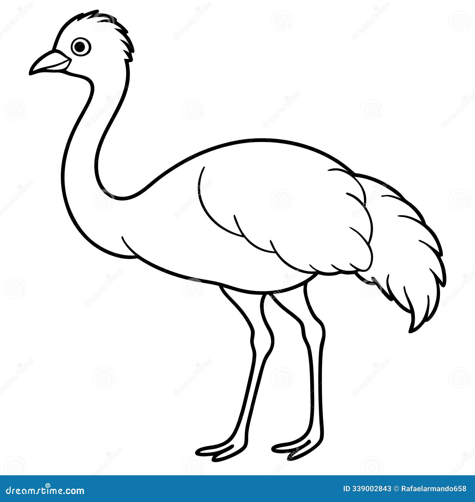 Emu Line Art Vector for Hand Drawing and Art for Adult & Children Stock ...
