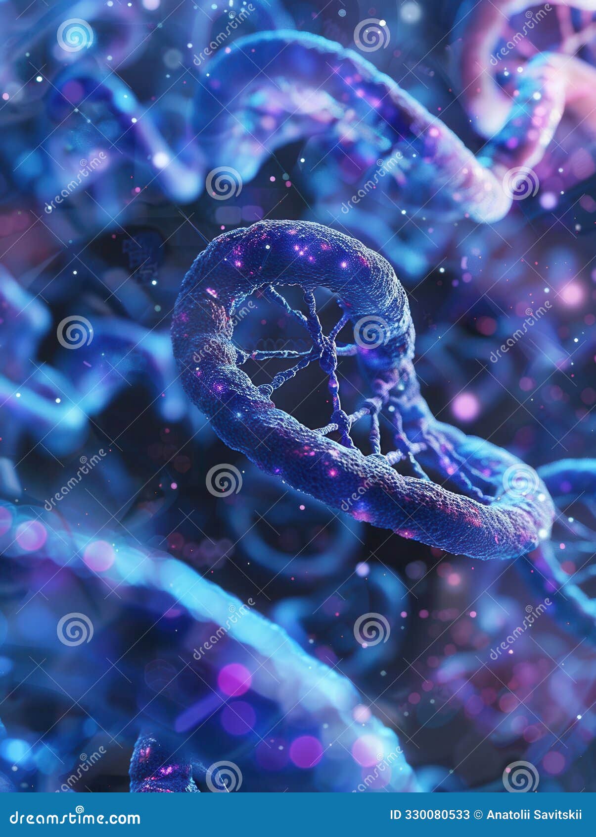 Detailed Examination Captures Cellular Structures with Visible Nuclei ...