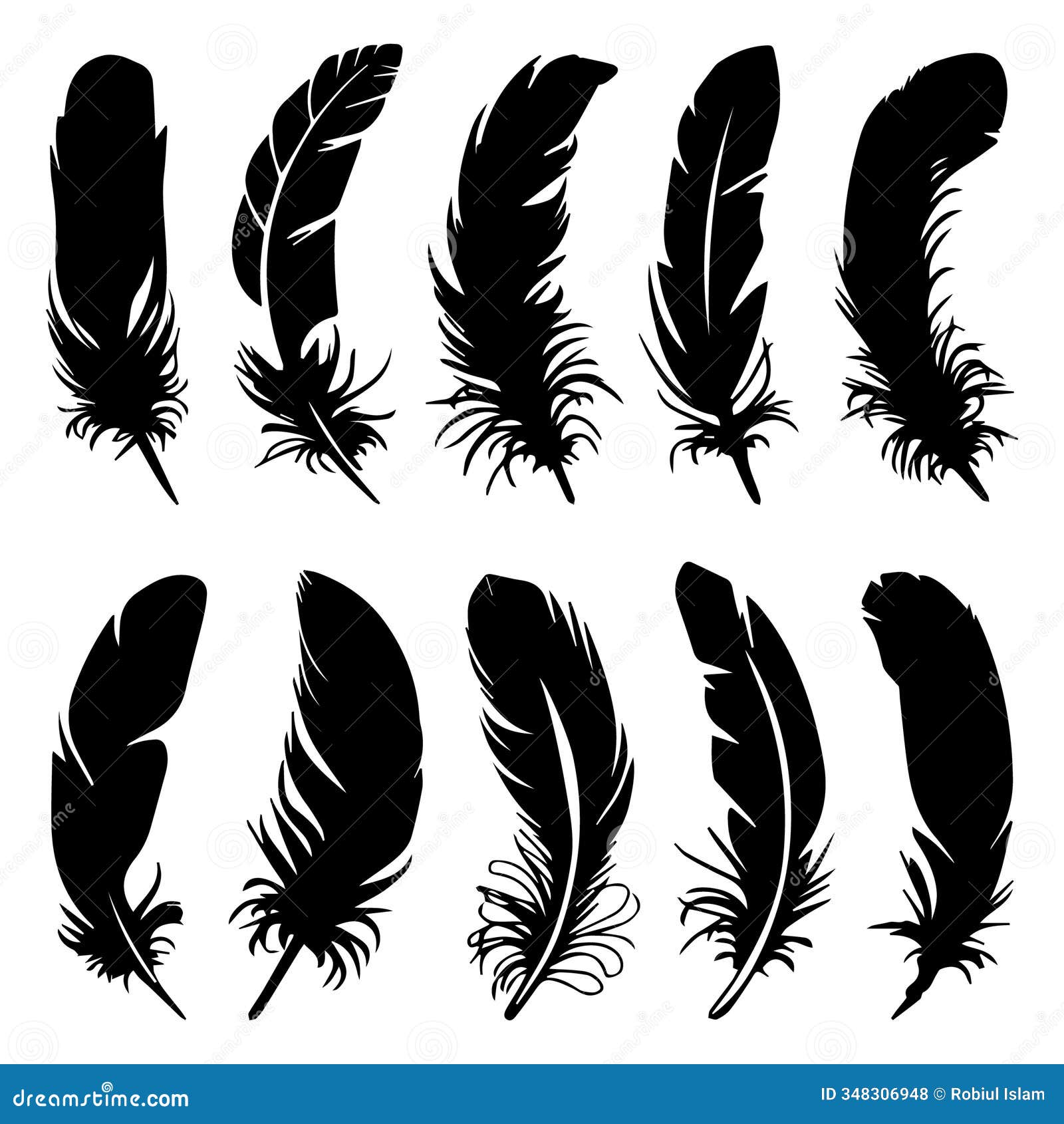 Detailed Feather Silhouettes Collection Vector Design . Stock ...