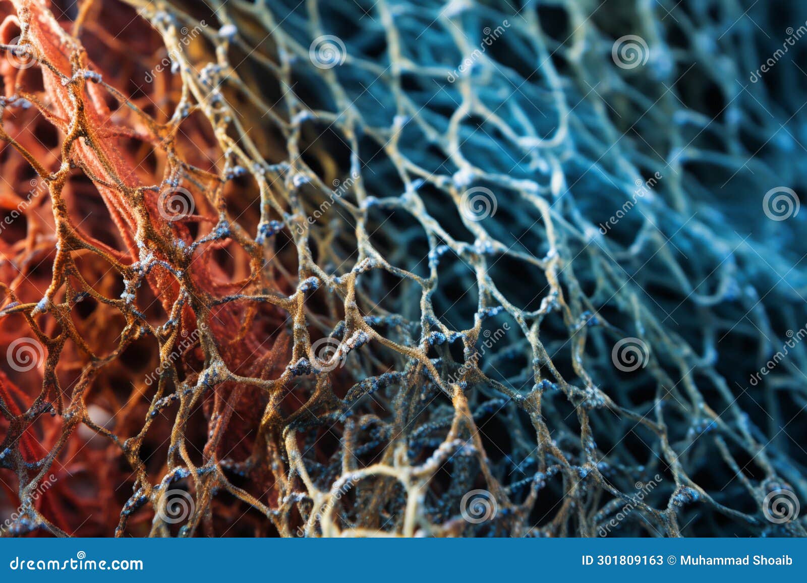 Detailed Fish Mesh Texture, Creating a Captivating and Intricate ...