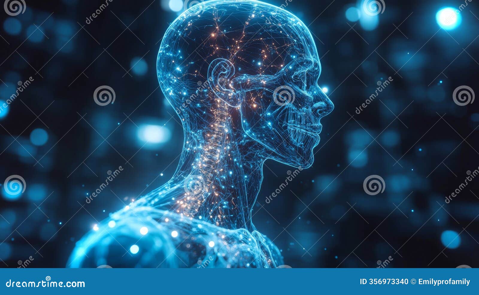 Detailed Full Body X-ray Visualization of a Human Exhibiting Internal ...