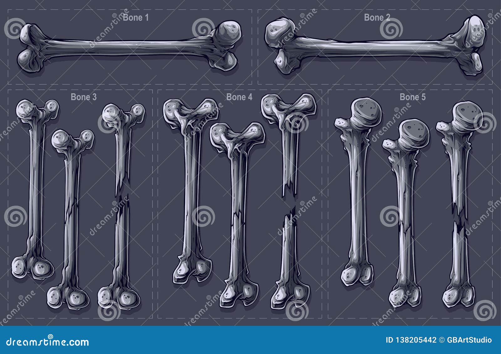 Detailed Graphic Black and White Human Bones Set Stock Vector ...