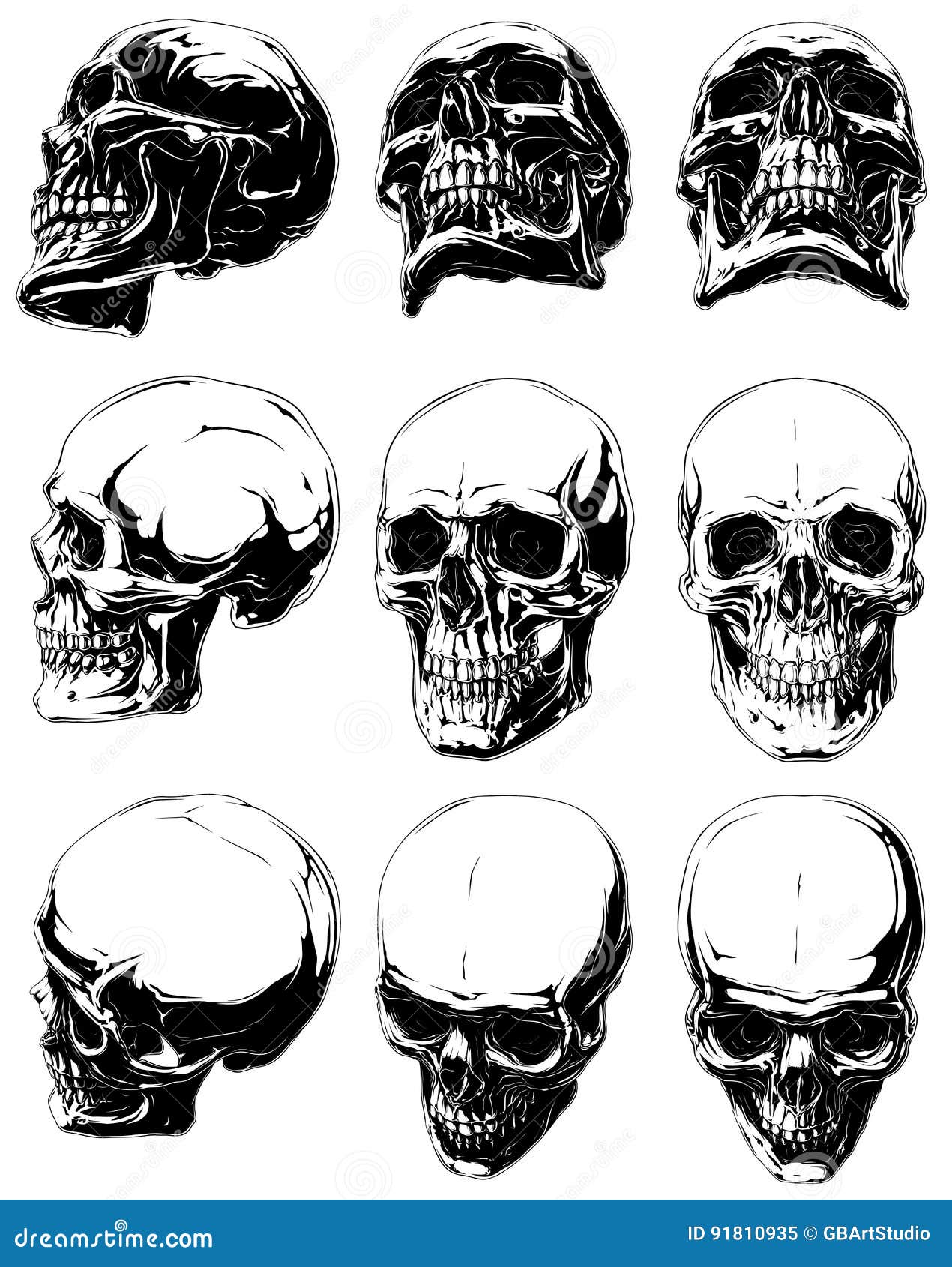 White Human Skull From Four Different Angles Vector Illustration ...