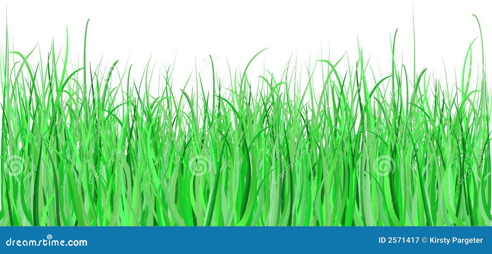 Detailed grass stock vector. Illustration of vector, blade - 2571417