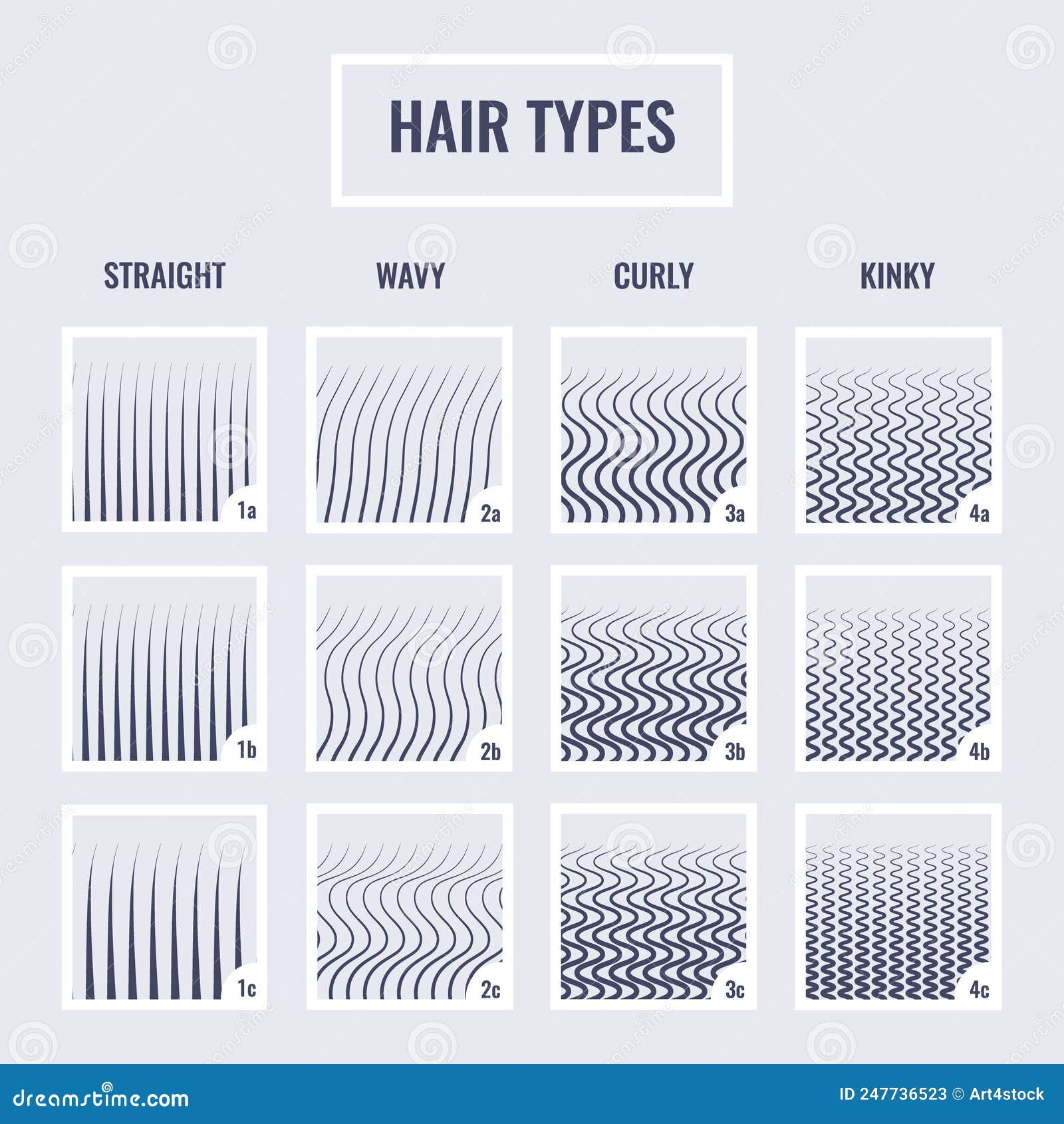Detailed Hair Types Chart Set Of Strands Growth Patterns Cartoon Vector ... Detailed Hair Types Chart Set Of Strands Growth Patterns Cartoon Vector ...